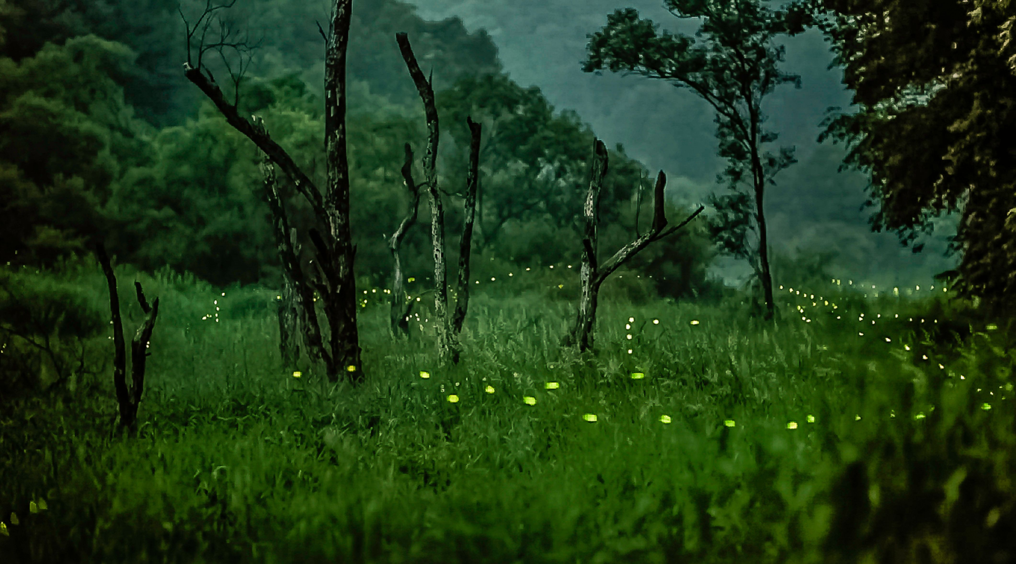 Free stock photo of early morning, lightning strike