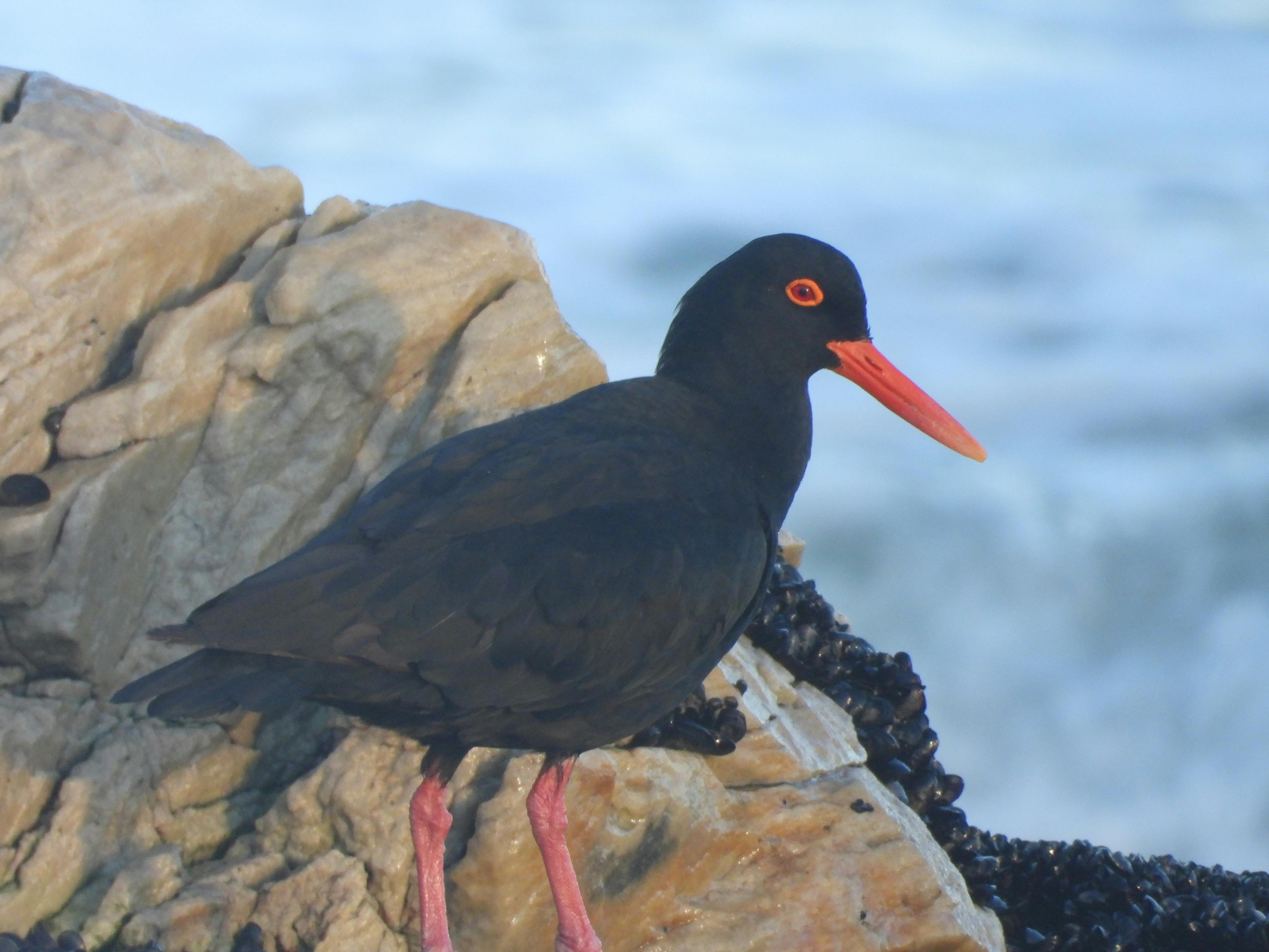 Kiekie & Kie · Photography