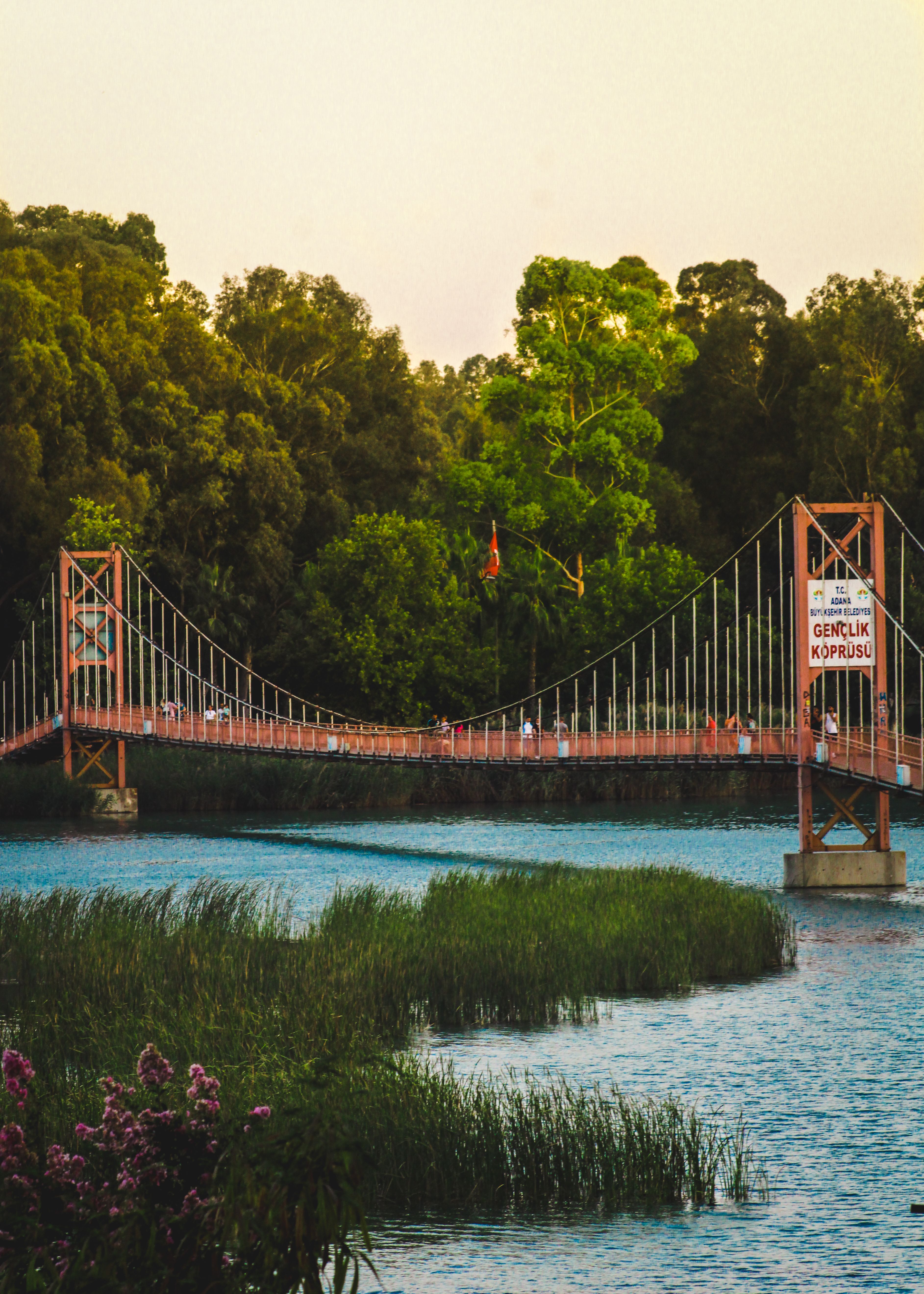 Bridge and Trees · Free Stock Photo