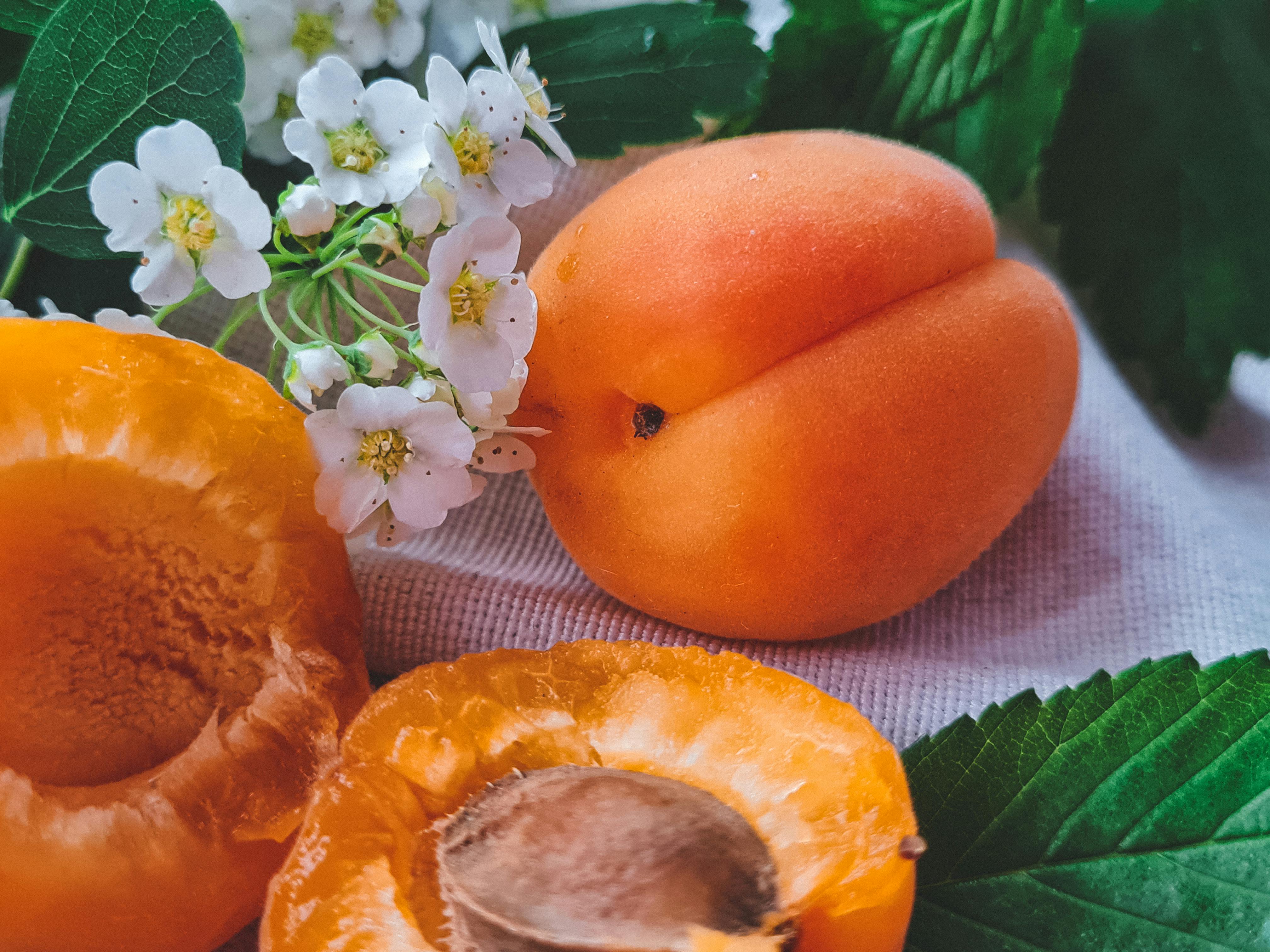 Close Up Shot of Apricots · Free Stock Photo
