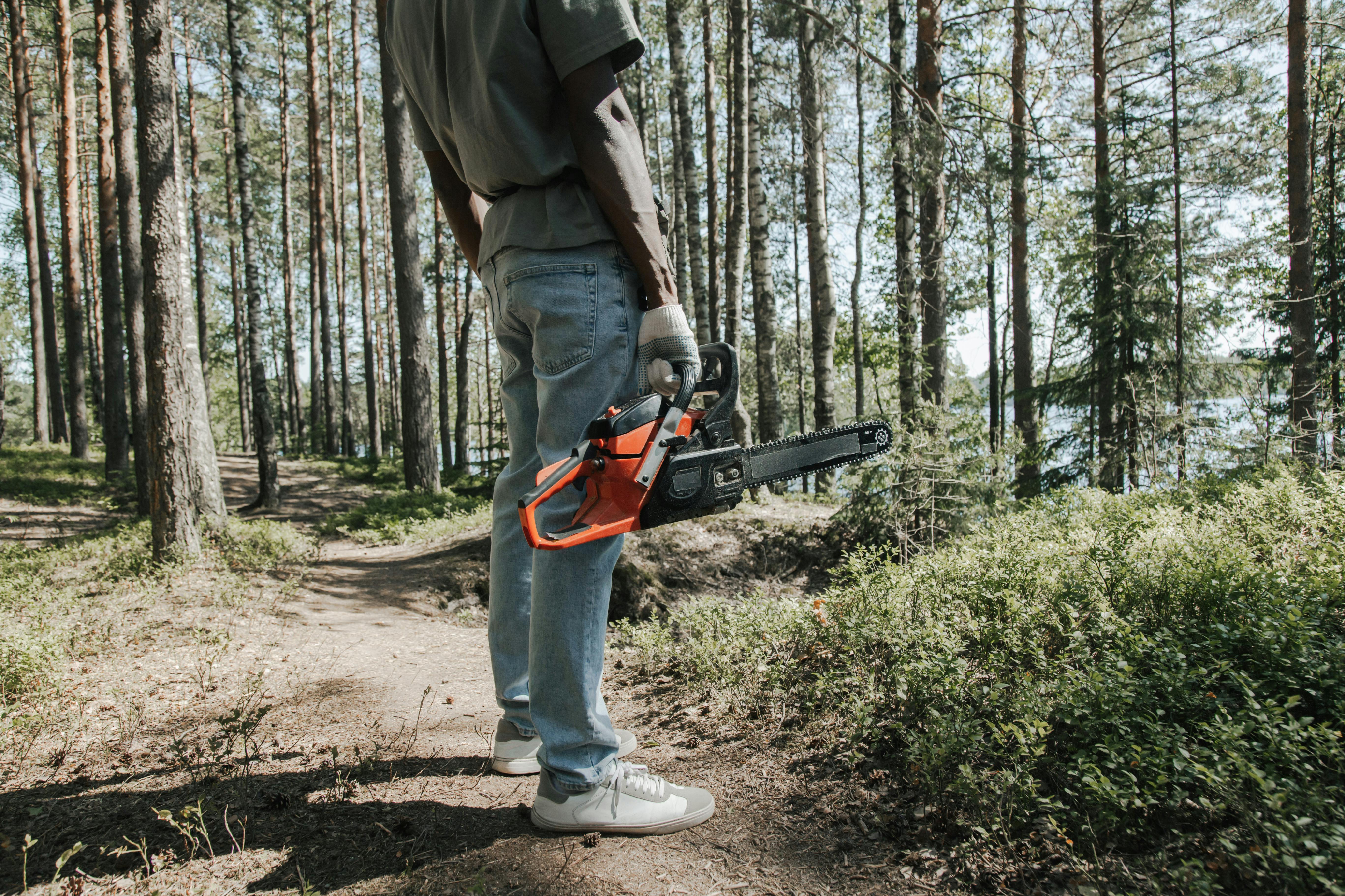 A Person Holding Chainsaw · Free Stock Photo