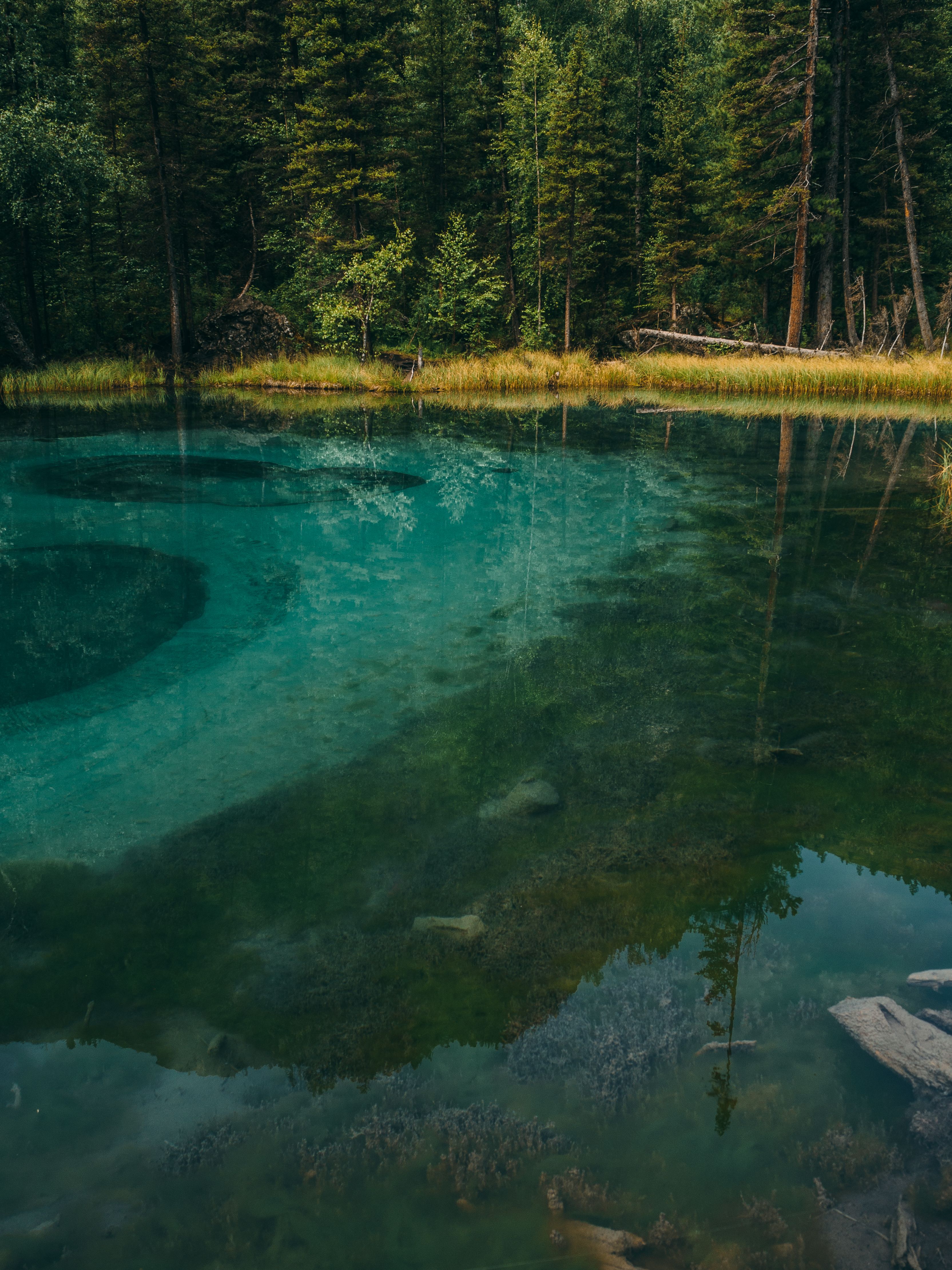 A Blue Lake in a Forest · Free Stock Photo