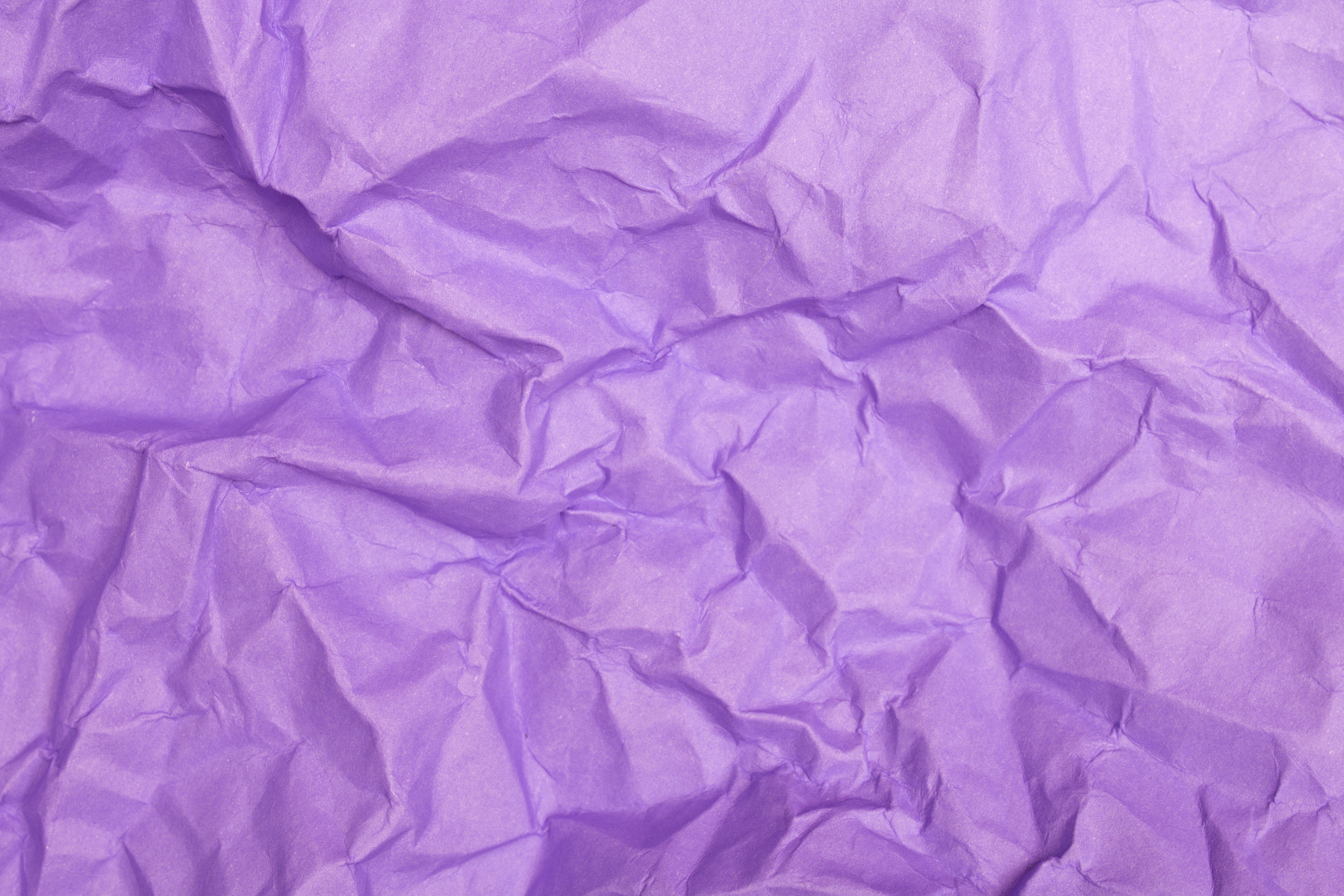 Photo of a Wrinkled White Paper · Free Stock Photo