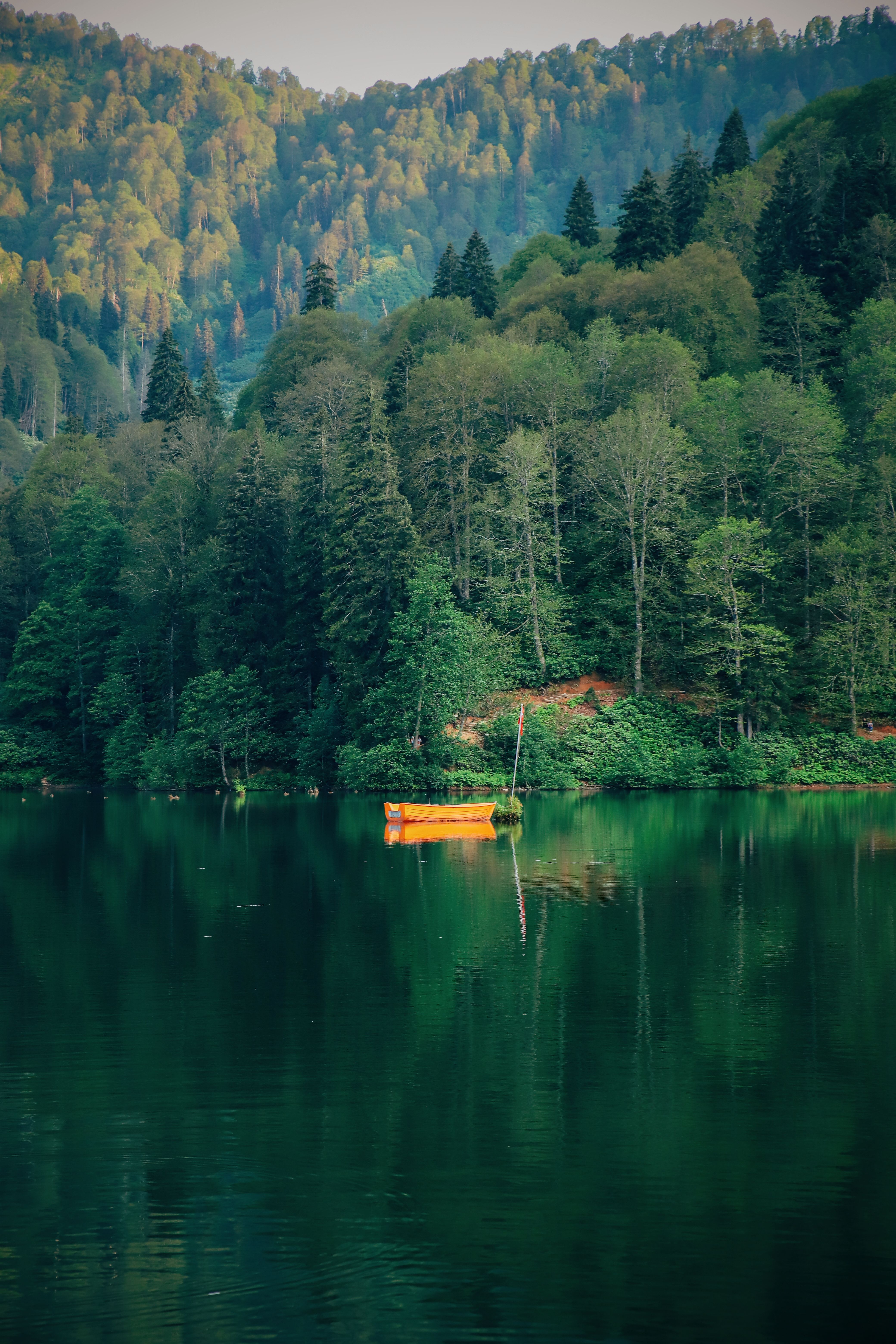 Boat on Water in Green Nature Landscape · Free Stock Photo