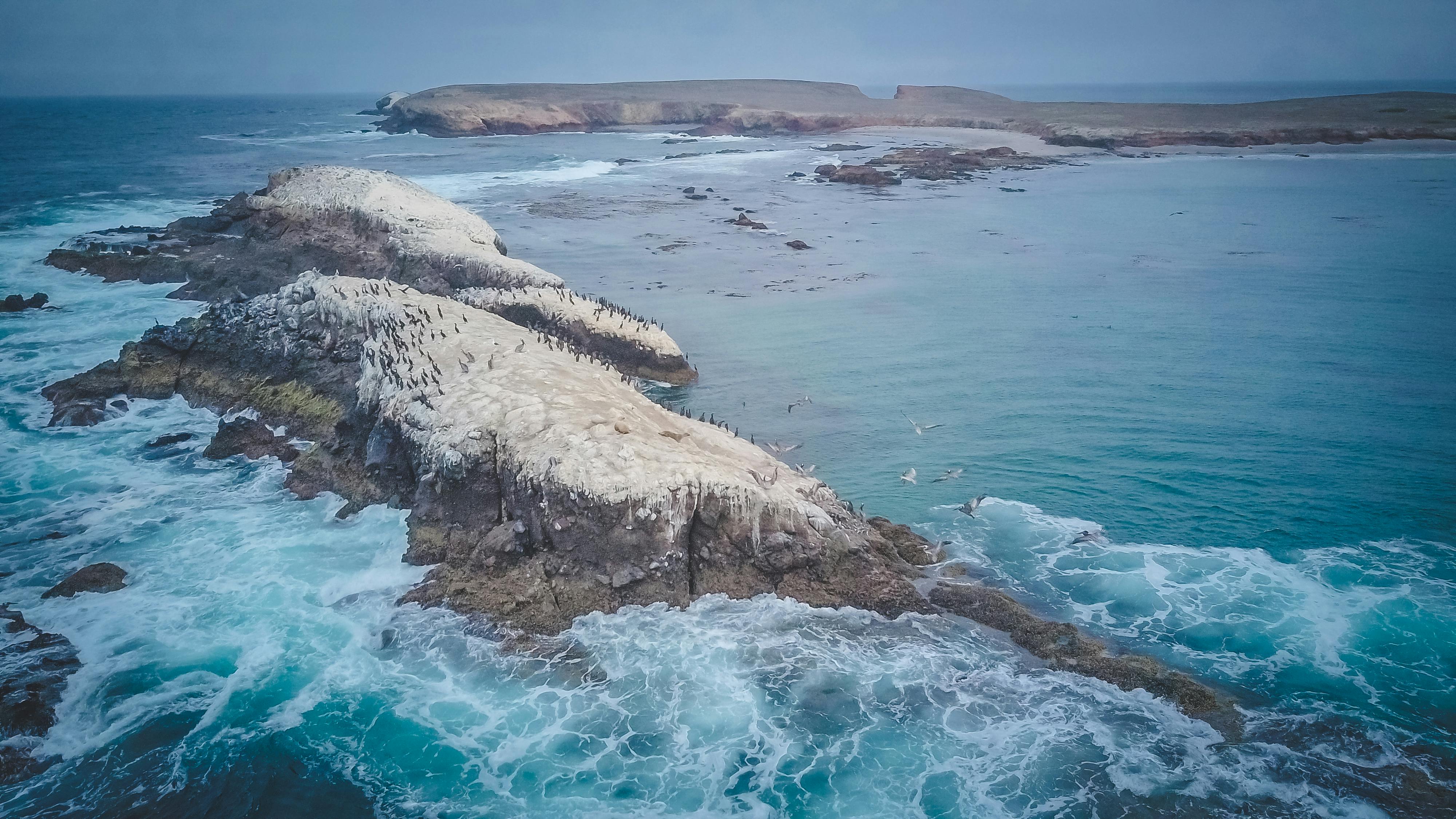 4k Turquoise Photos, Download The BEST Free 4k Turquoise Stock Photos ...