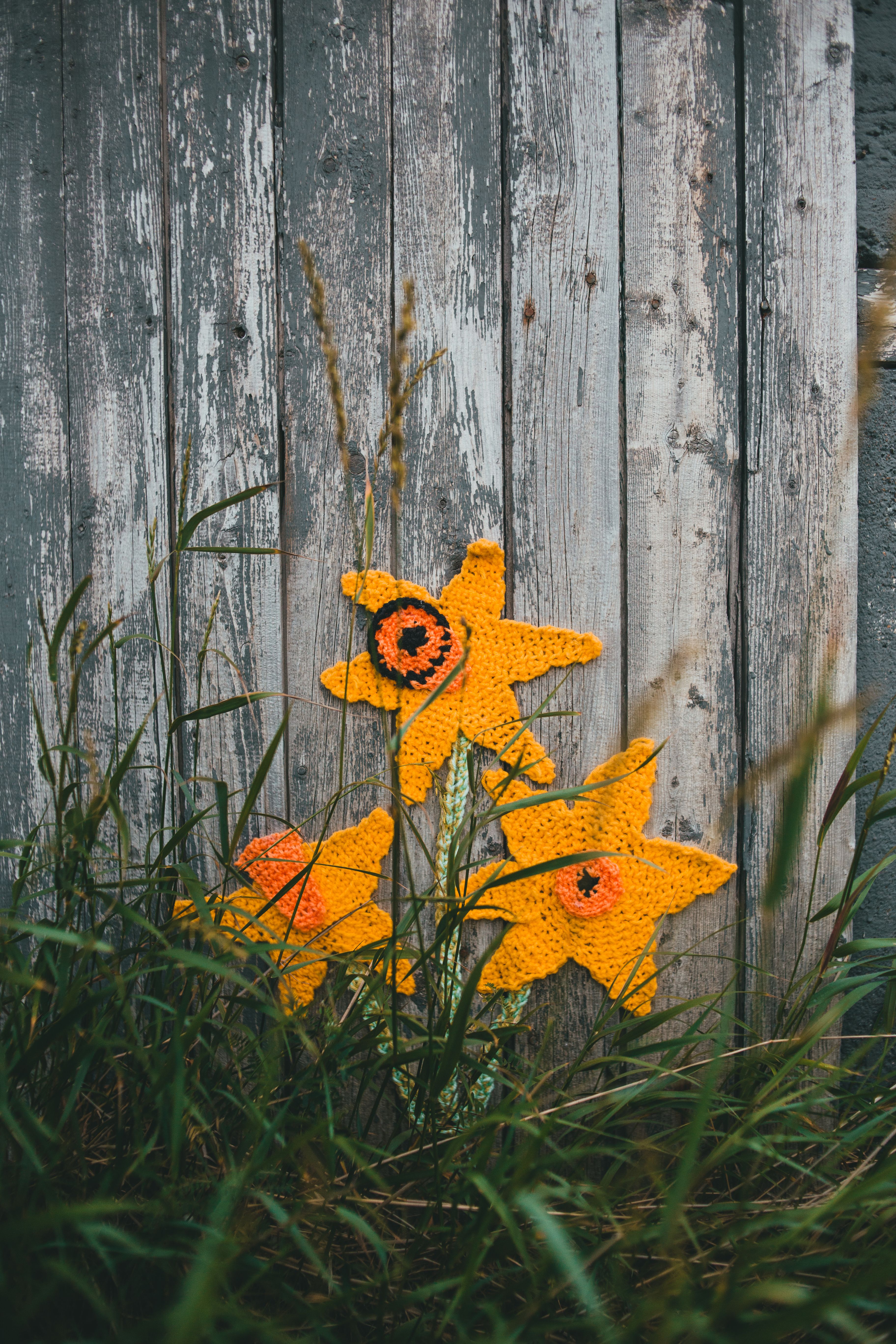 Stars on Fence · Free Stock Photo