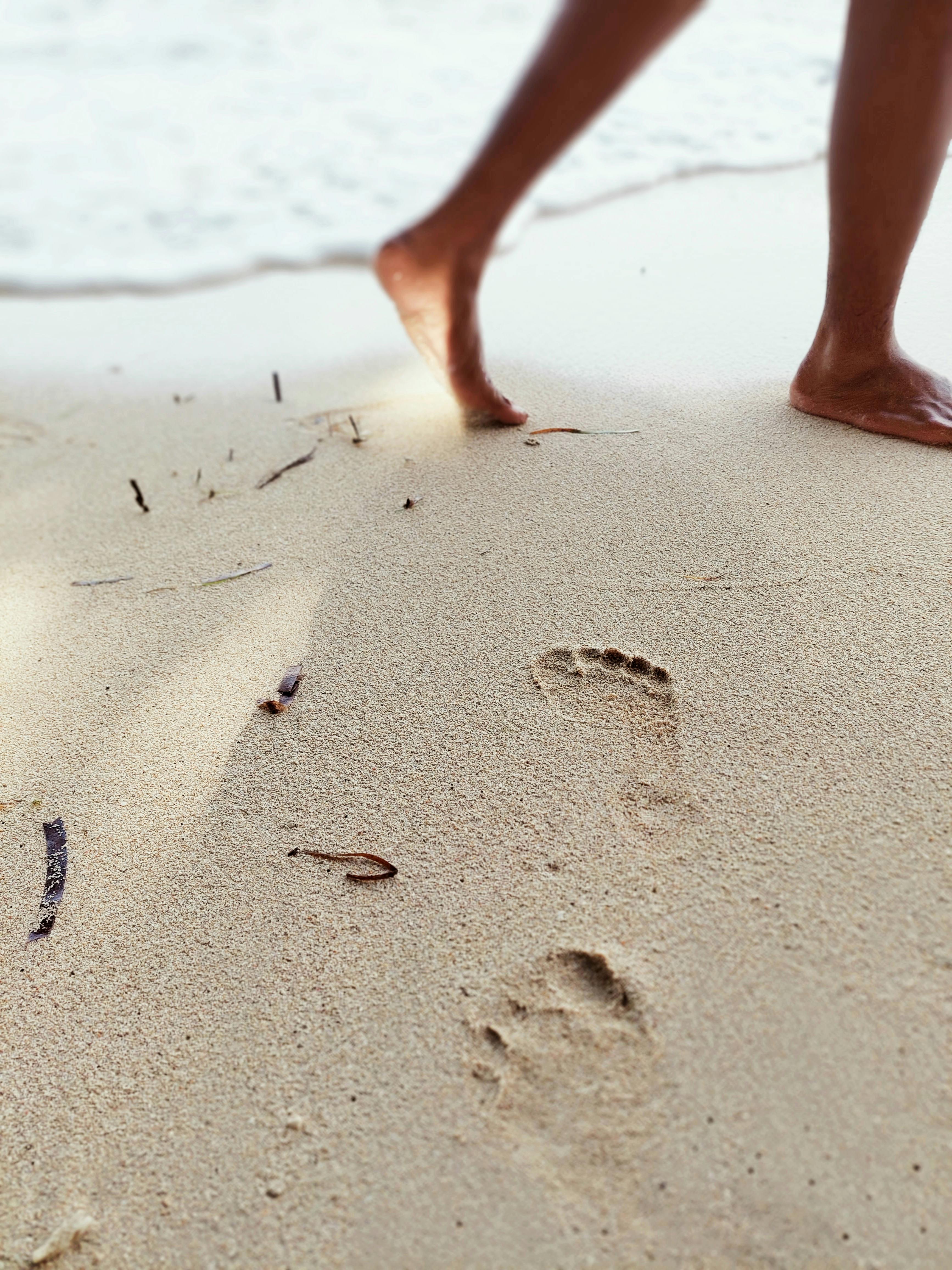 People Walking on Beach on Dawn · Free Stock Photo