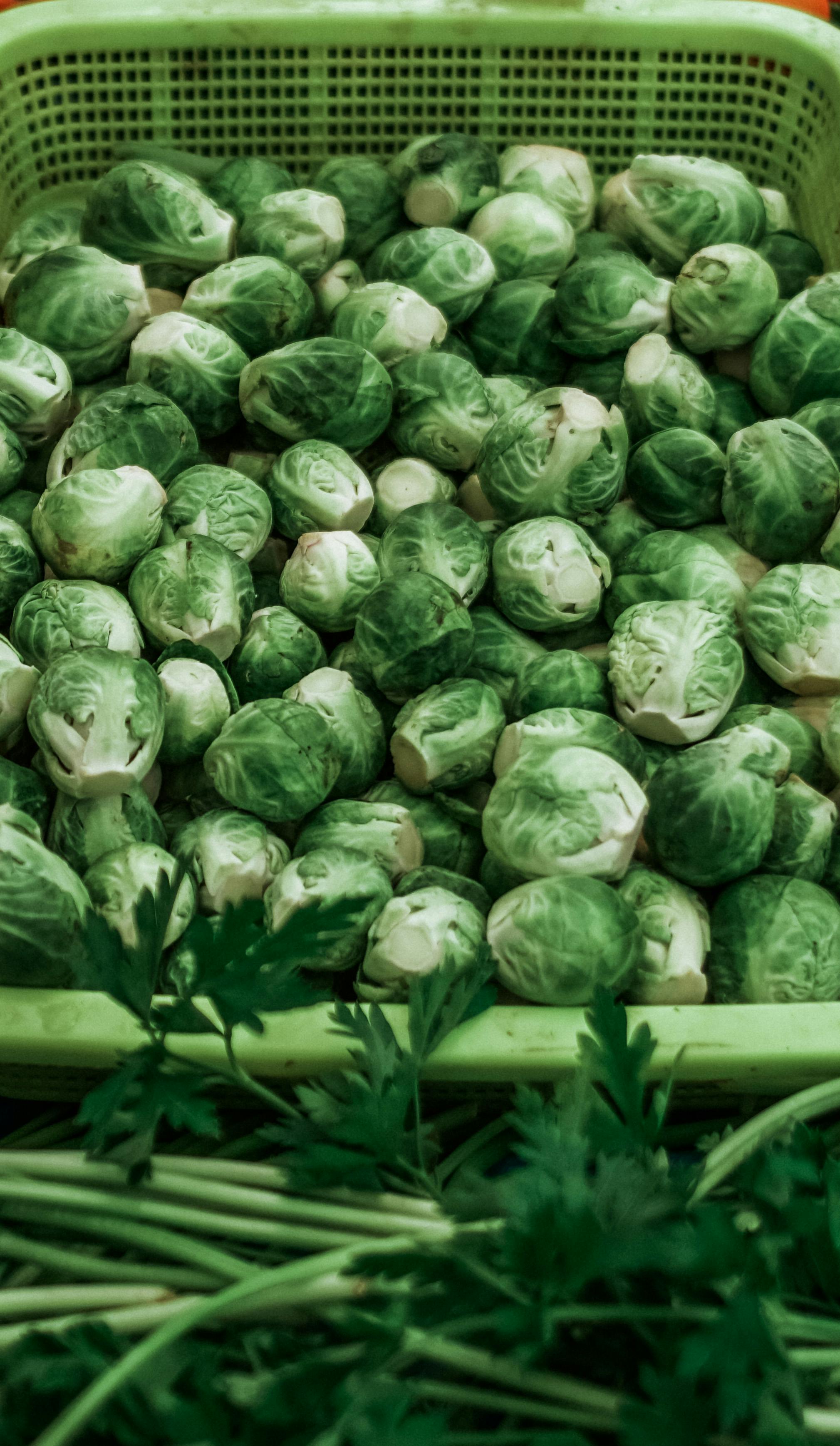 Green Round Vegetables · Free Stock Photo