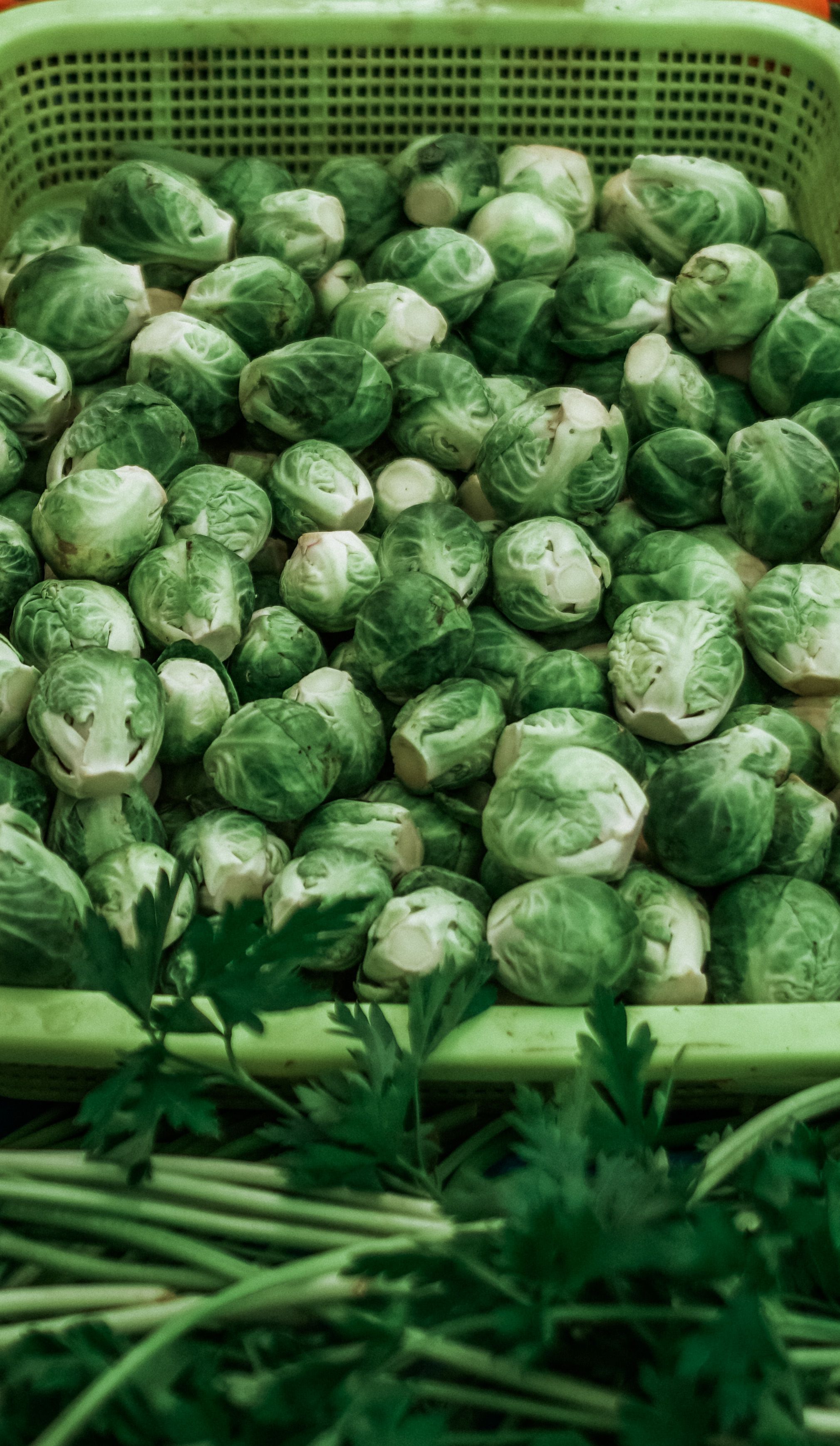 Green Round Vegetables · Free Stock Photo