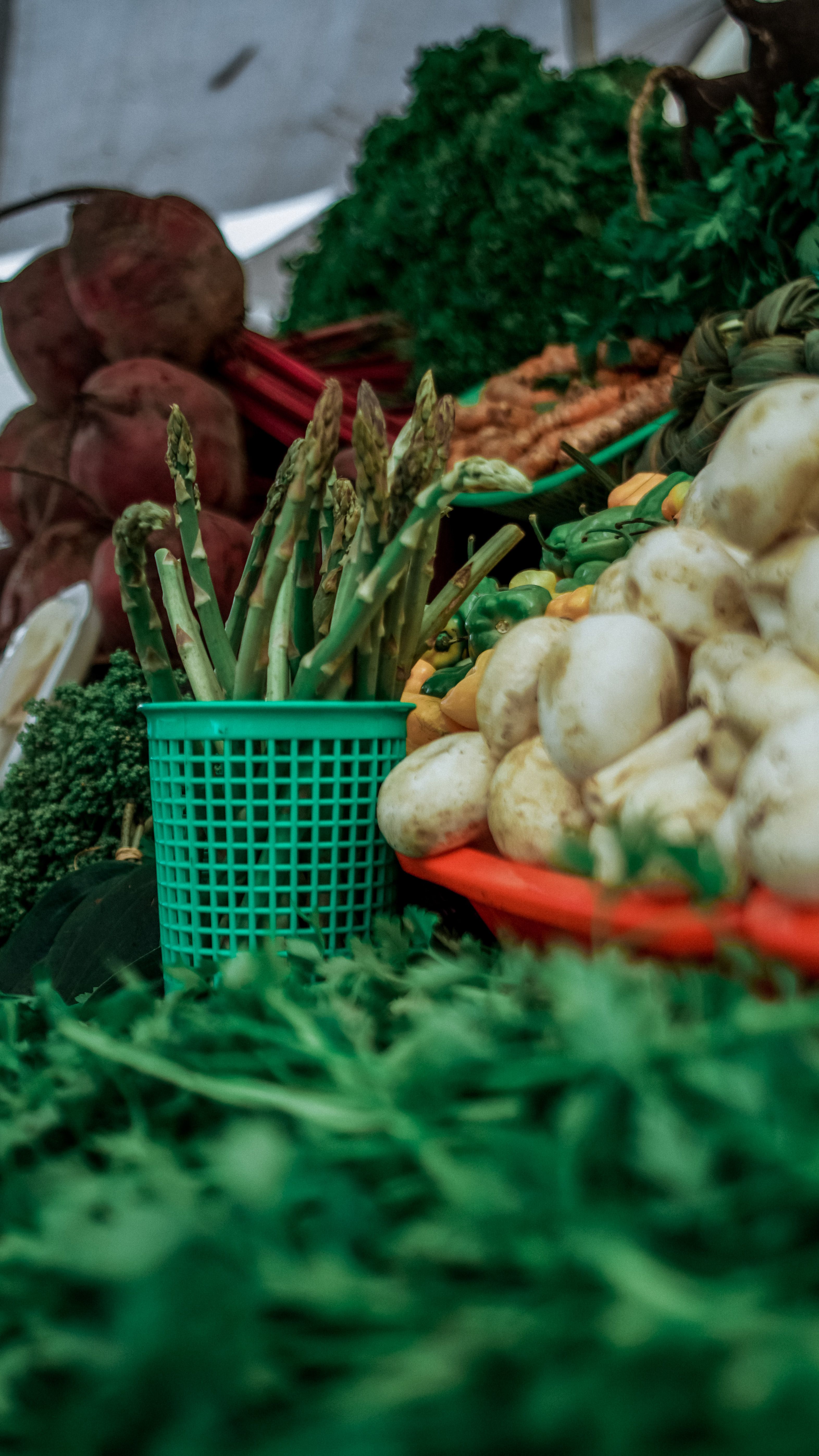 Assorted Ingredients on Trays · Free Stock Photo