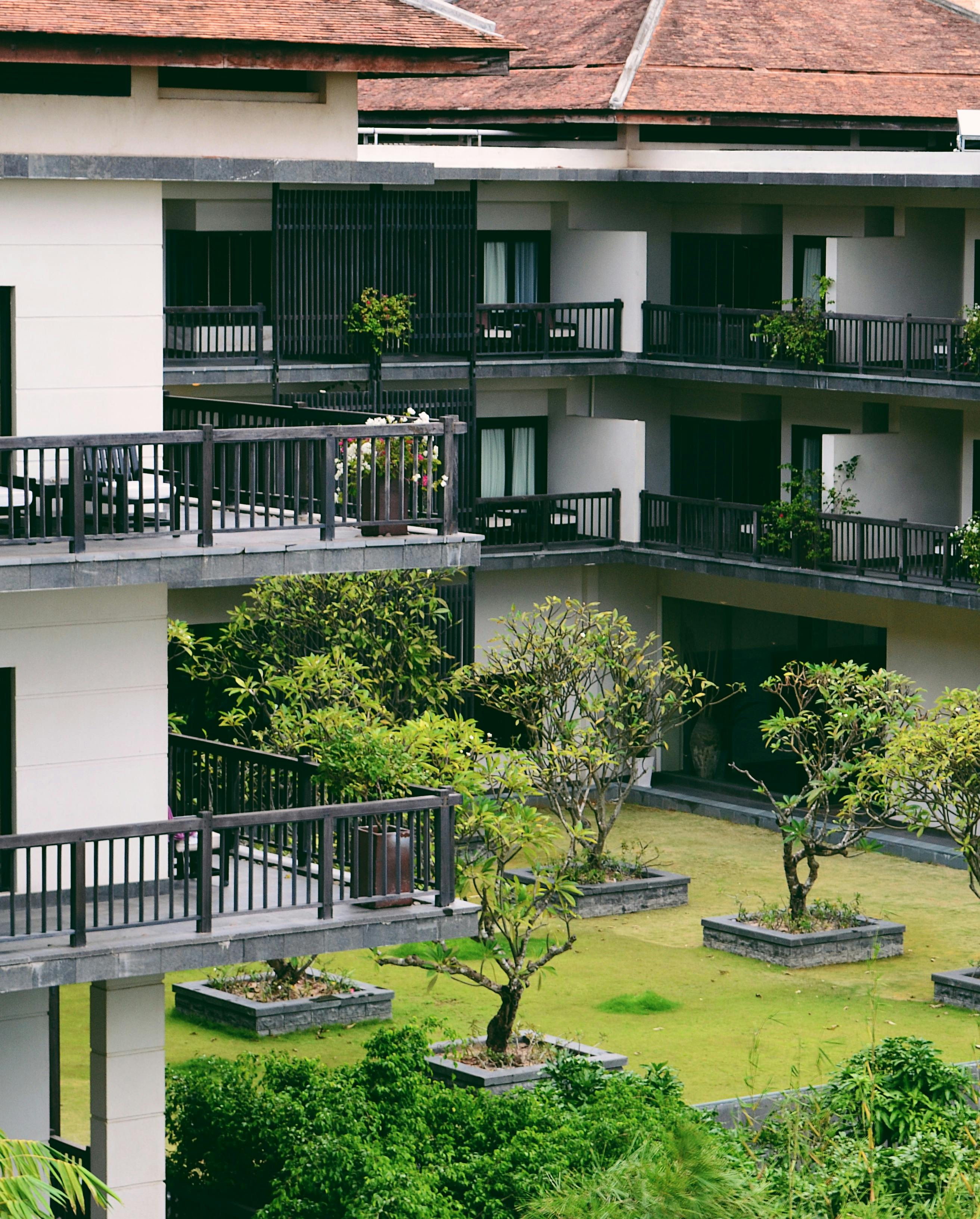 Tree on Terrace · Free Stock Photo