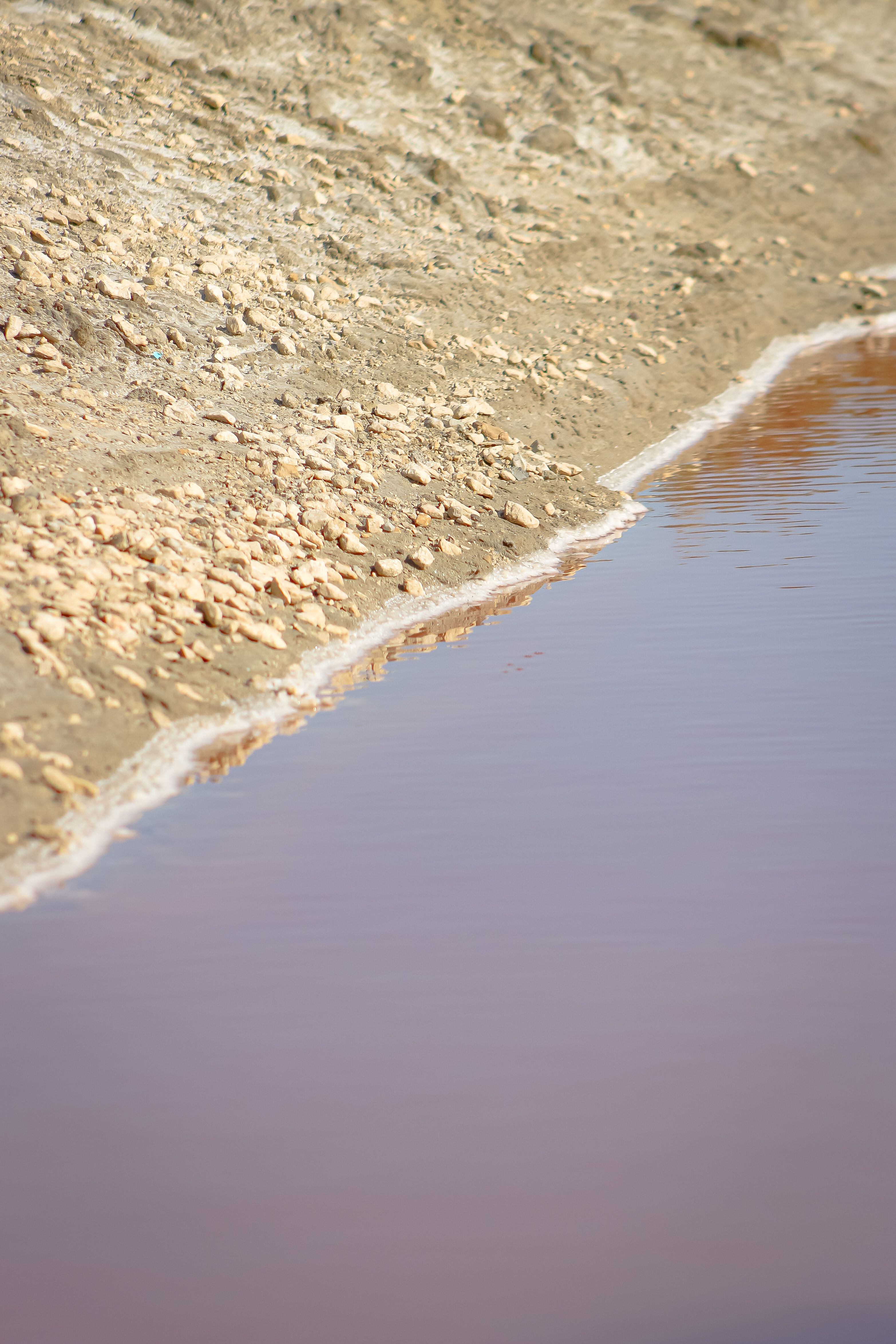 Brown Sand Beside the Lake · Free Stock Photo