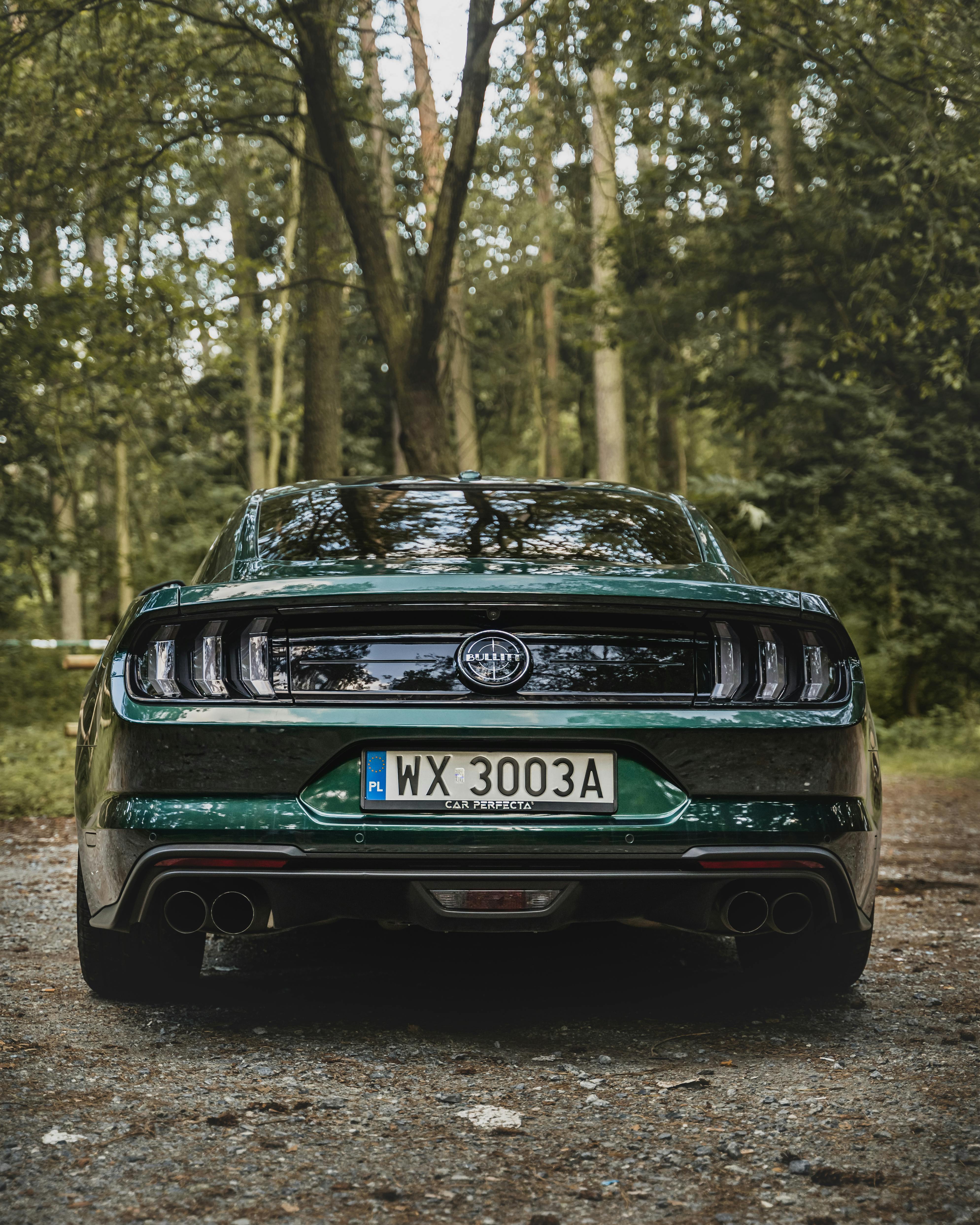 Ford Mustang Rear Bumpers · Free Stock Photo
