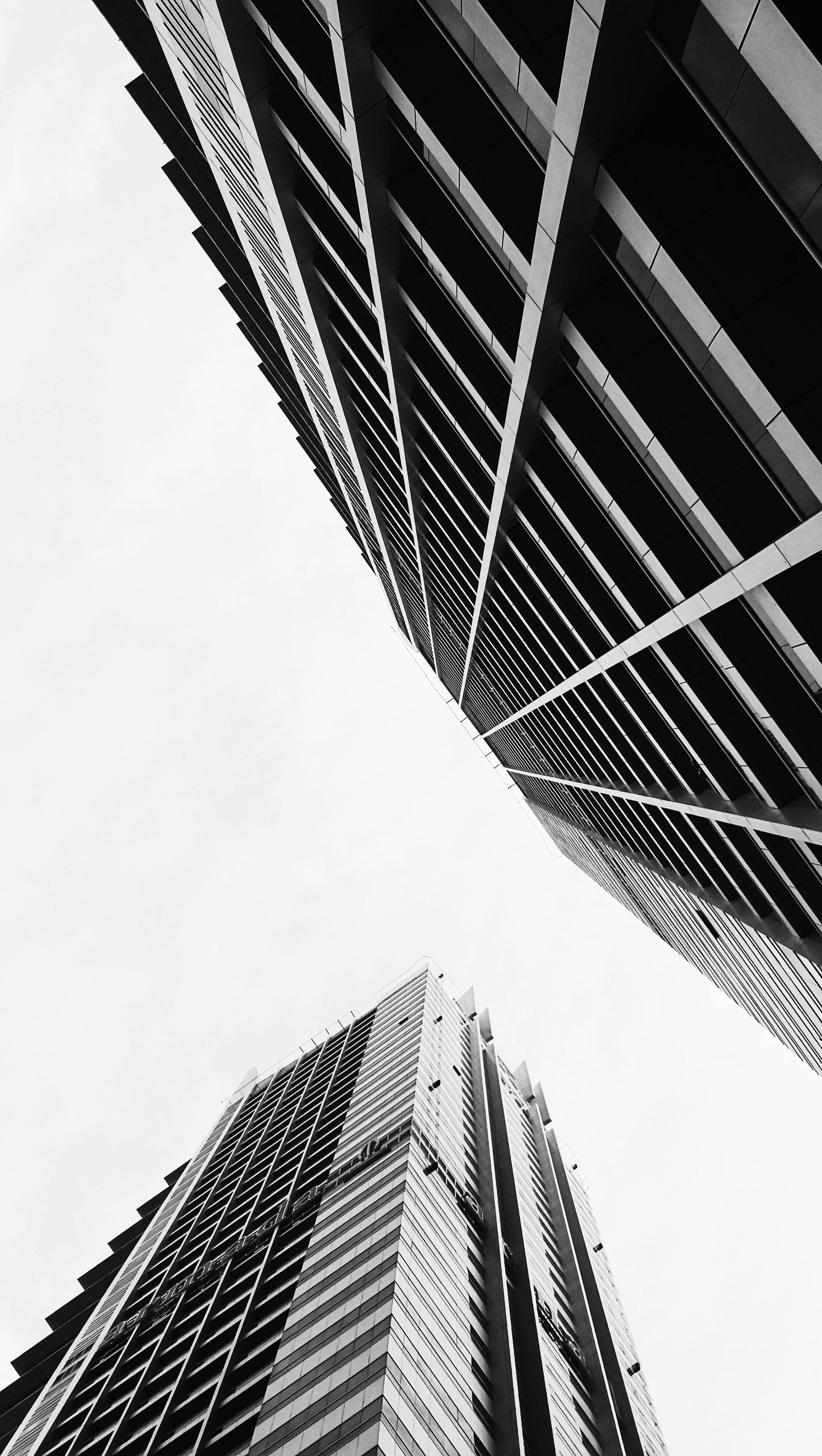 A Grayscale Photo of High Rise Buildings · Free Stock Photo