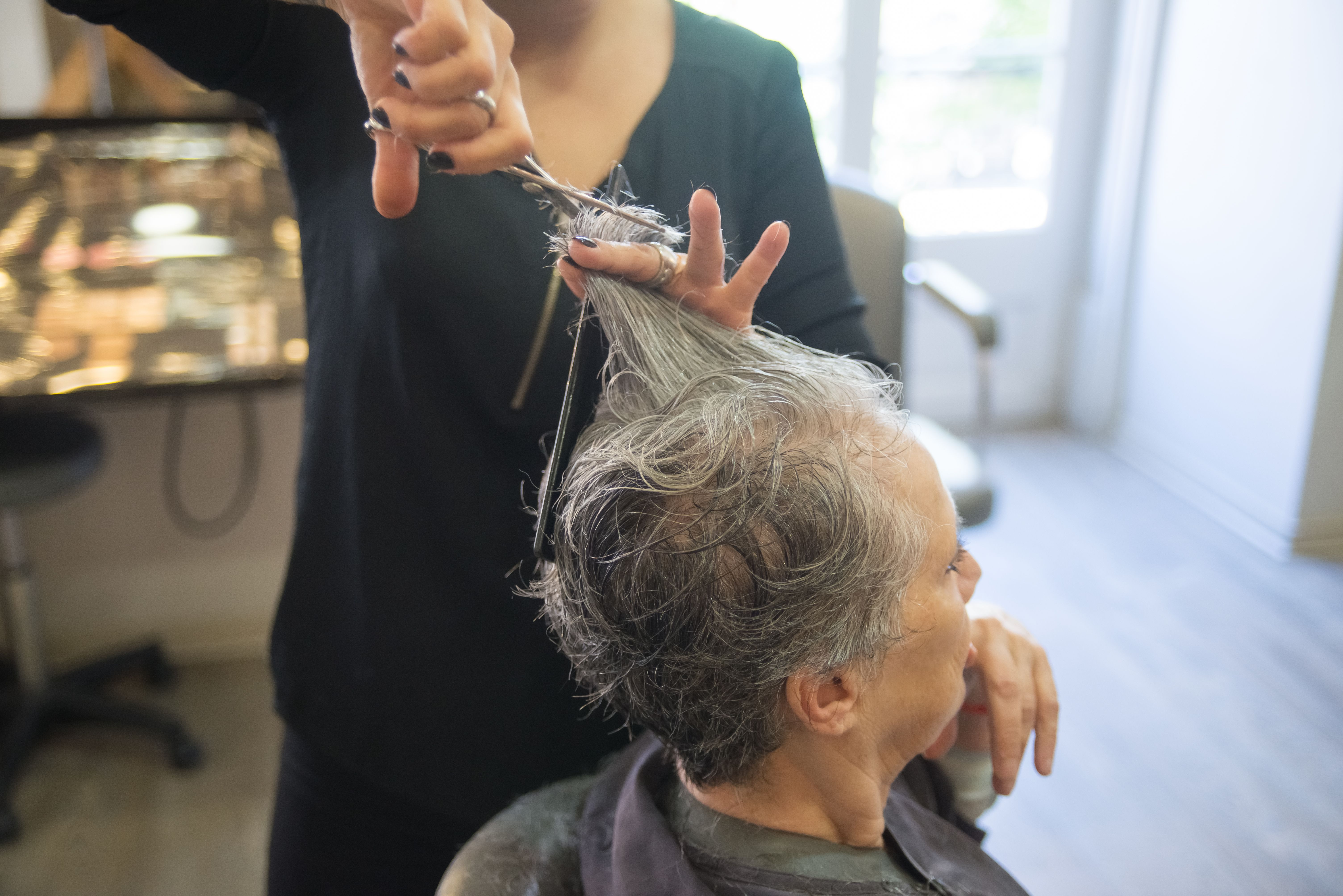 Person Cutting Hair · Free Stock Photo