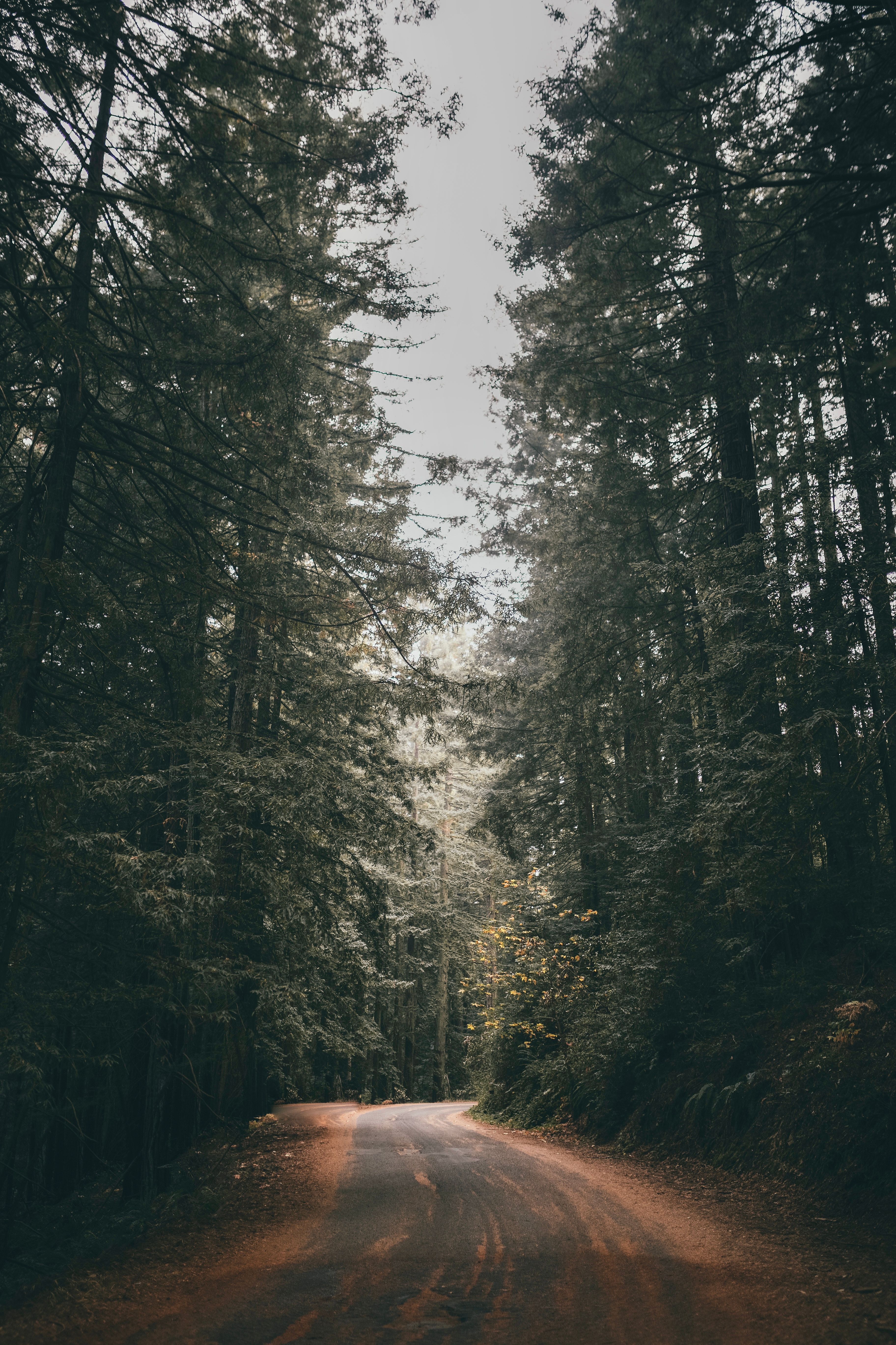 Photo Of Road During Daytime · Free Stock Photo