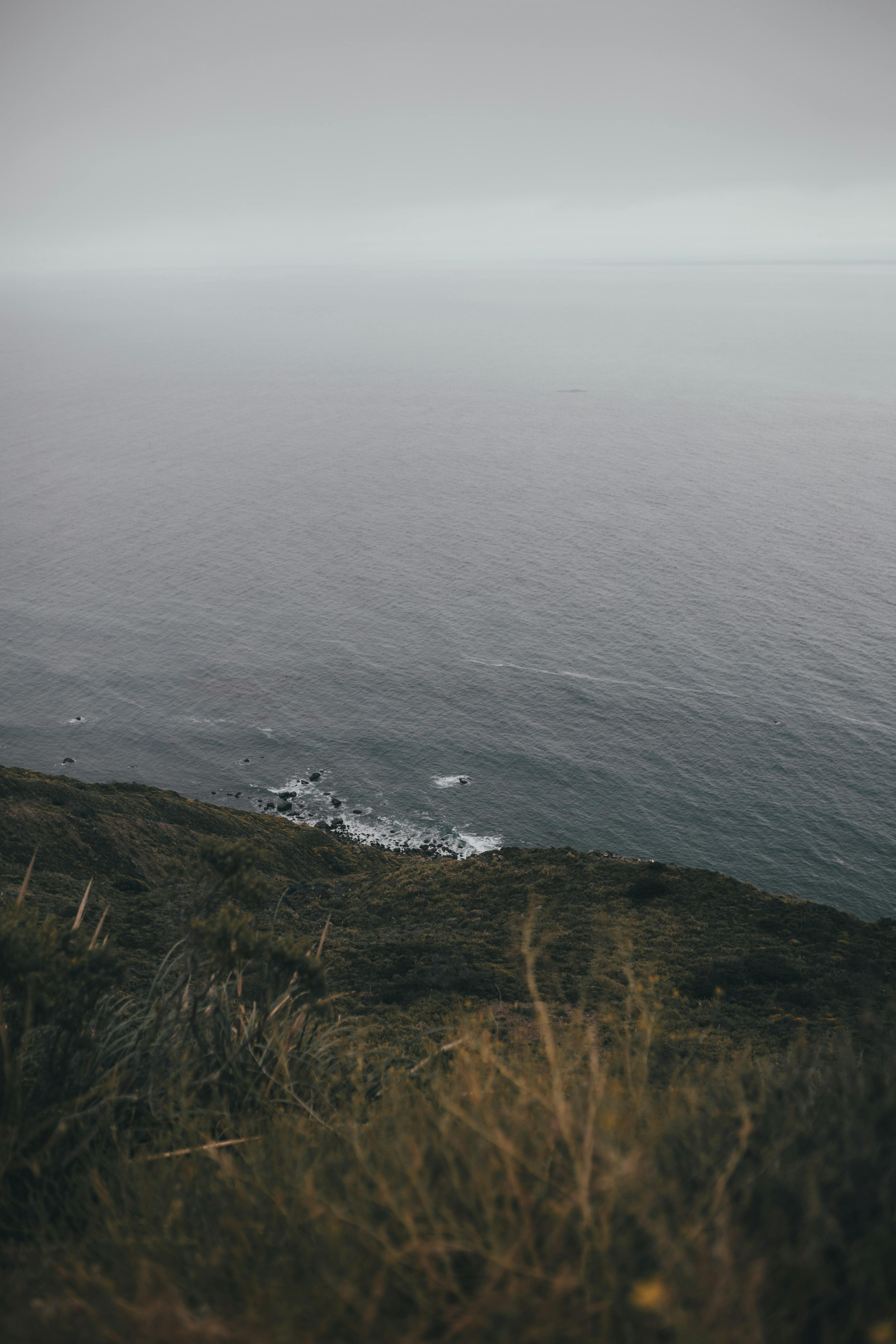 Grass on Cliff near Ocean Water · Free Stock Photo
