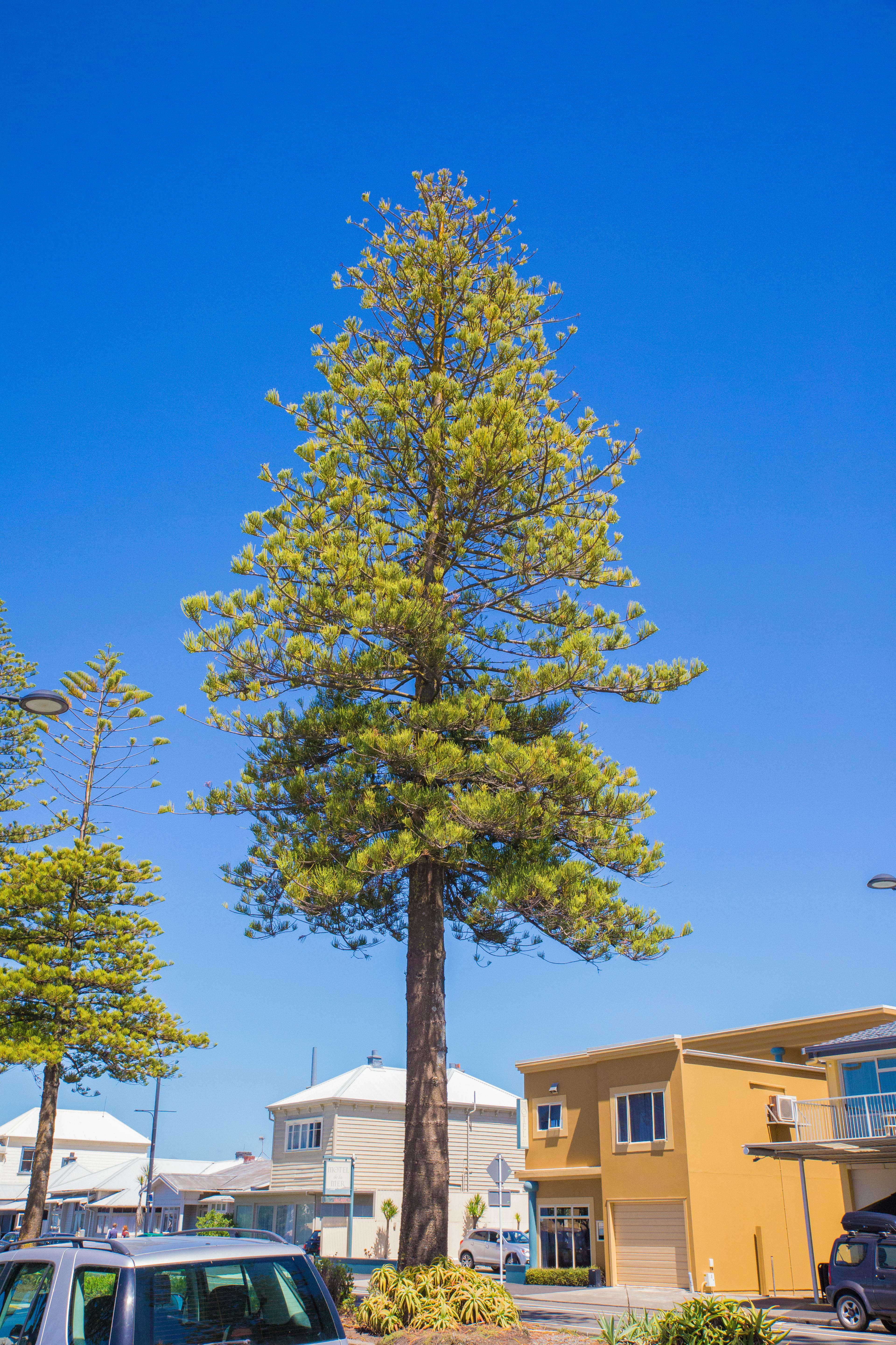 Ketan Kumawat · Photography