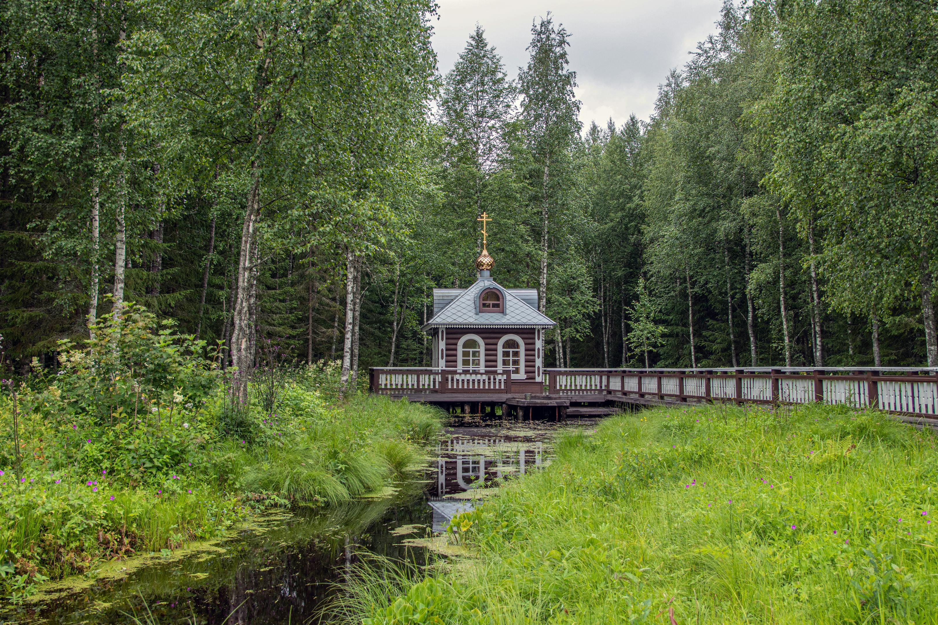Chapel Over a River in a Forest · Free Stock Photo
