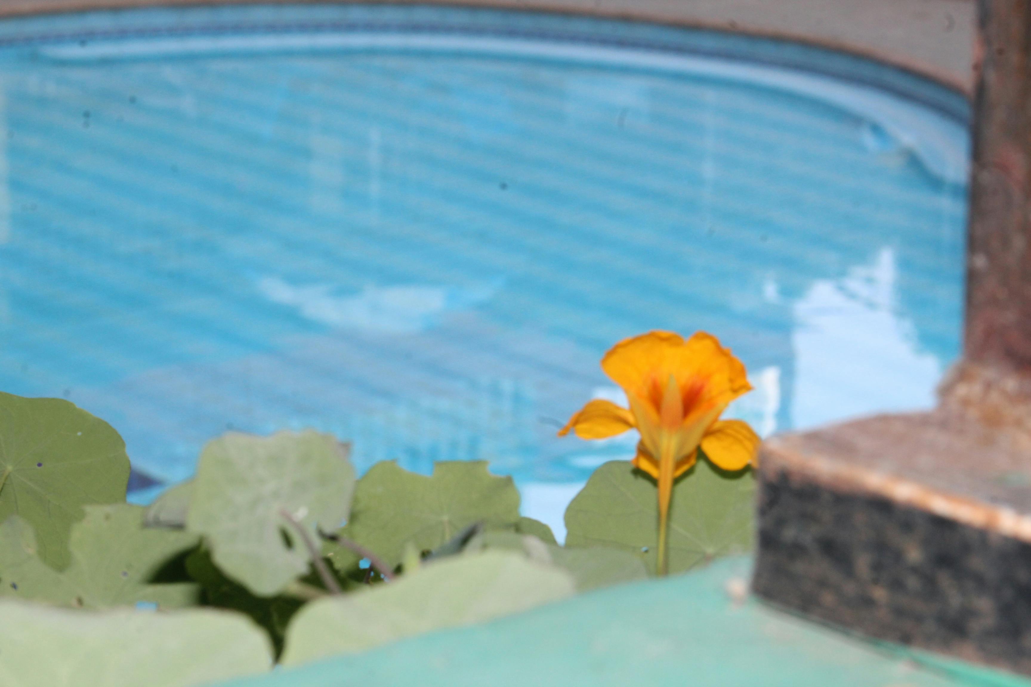 iox Morillo - 摄影