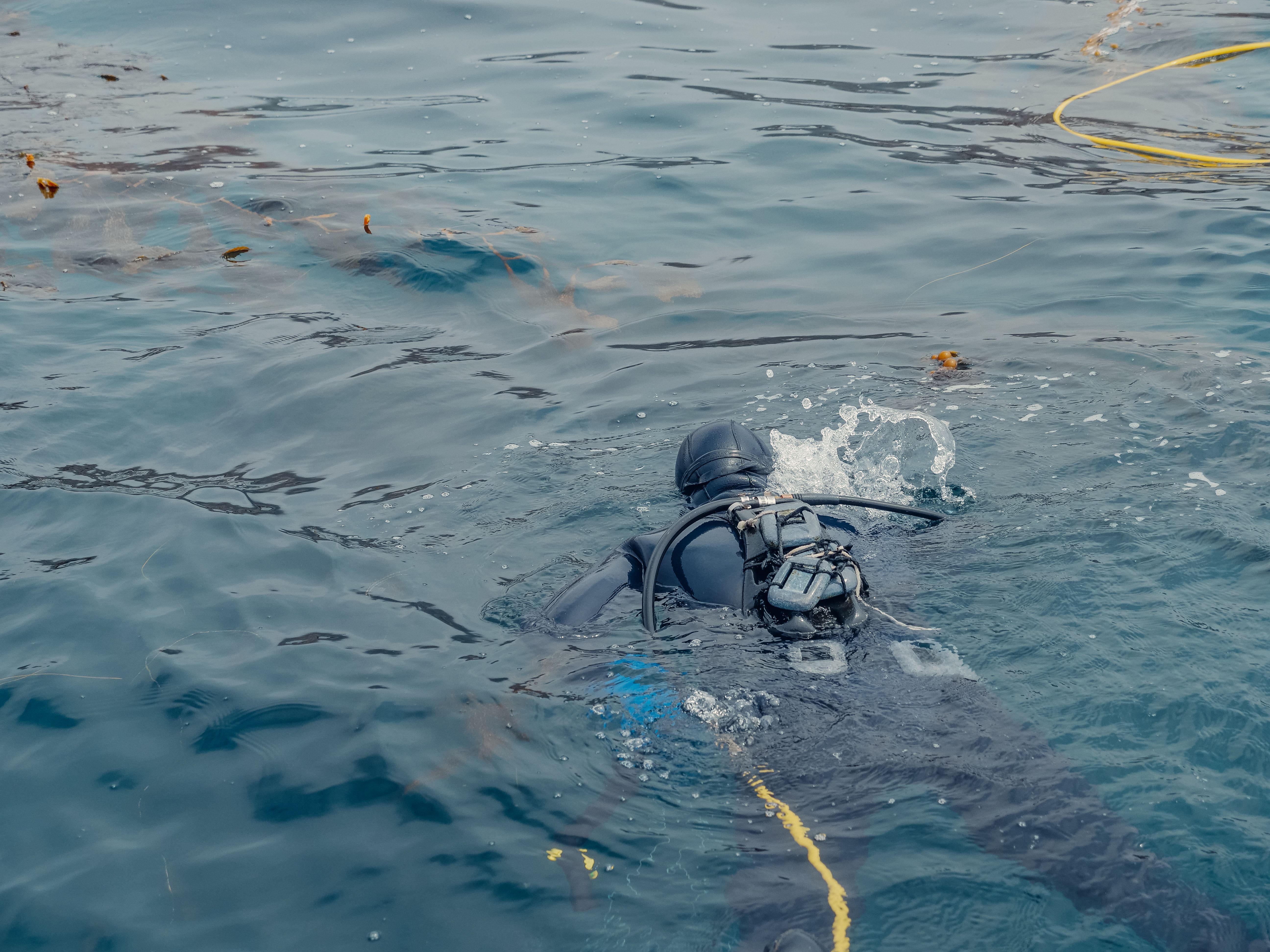 Underwater 4k Photos, Download The BEST Free Underwater 4k Stock Photos ...