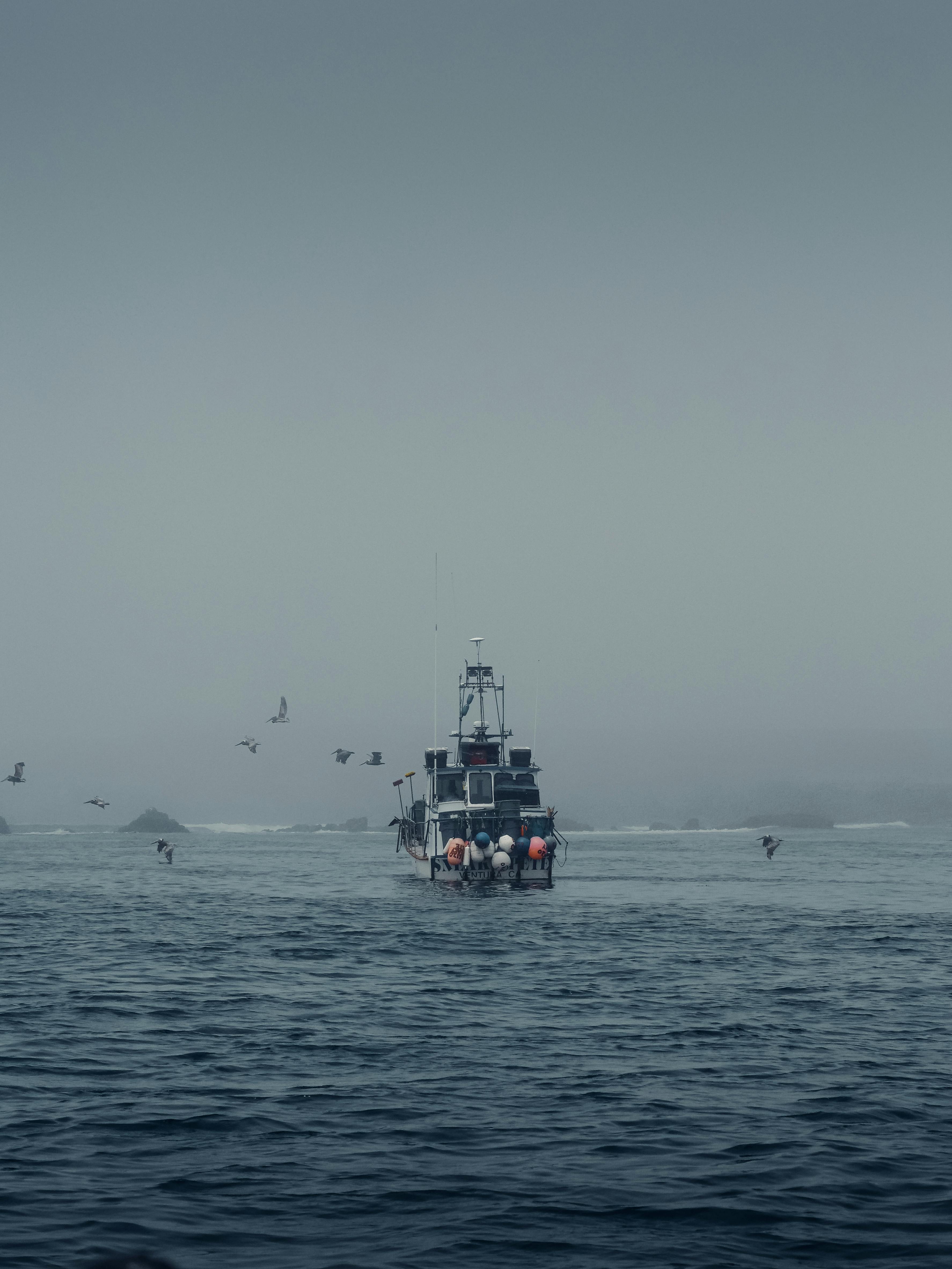 Sea Warship Photos, Download The BEST Free Sea Warship Stock Photos ...