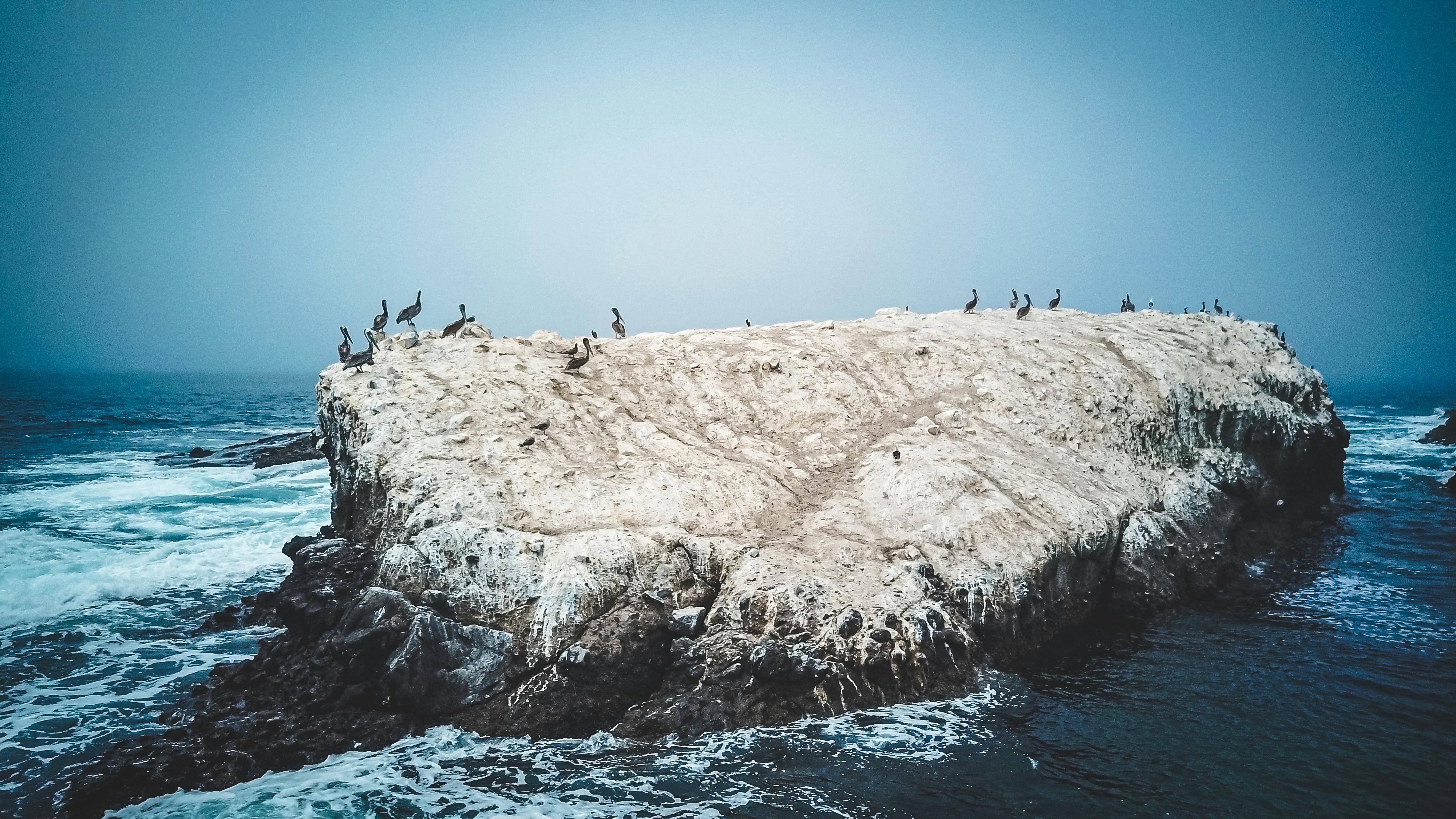 Photo Of Person Standing On Top Of Rock · Free Stock Photo