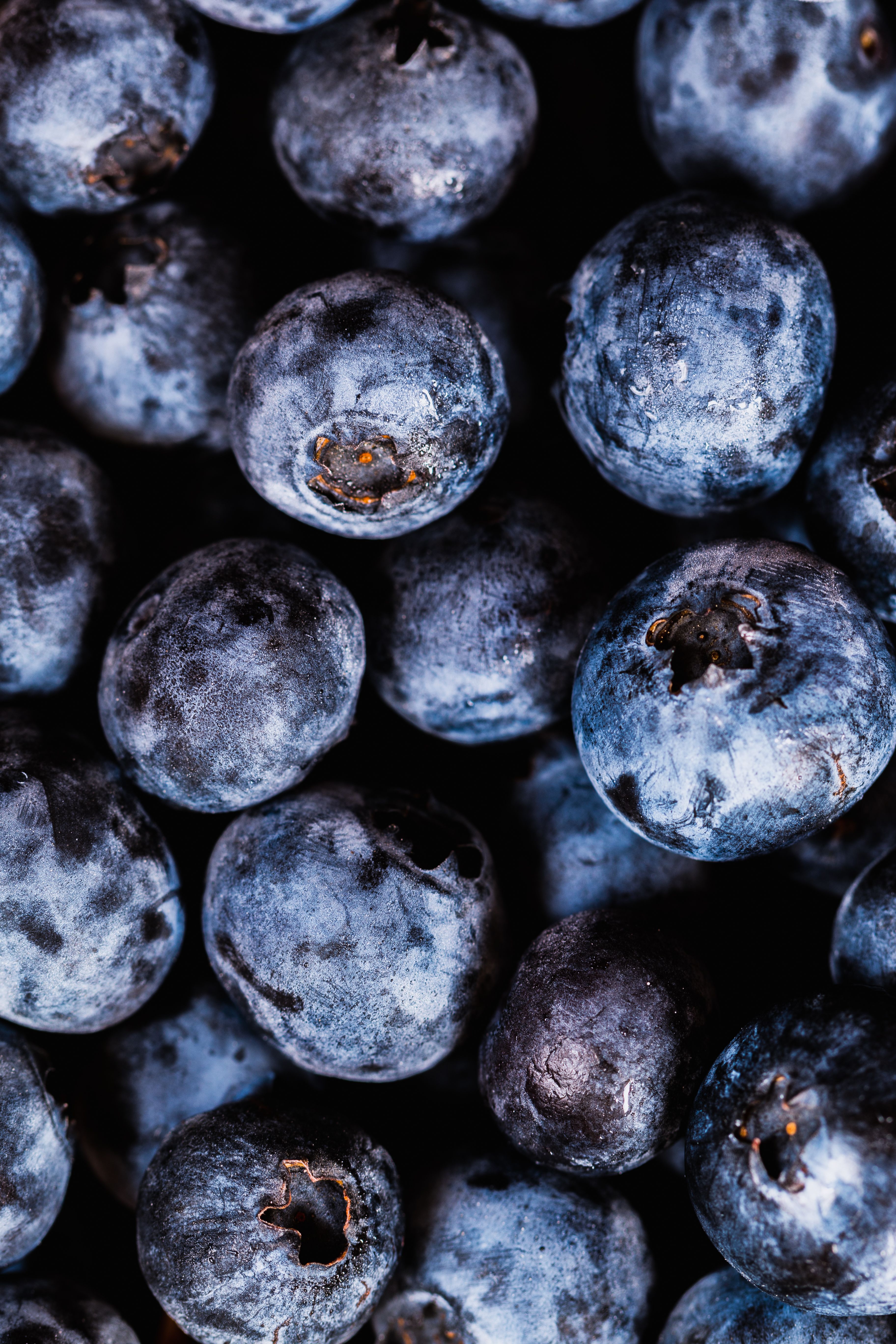 Close-Up Photography of Blueberries on Wooden Surface · Free Stock Photo