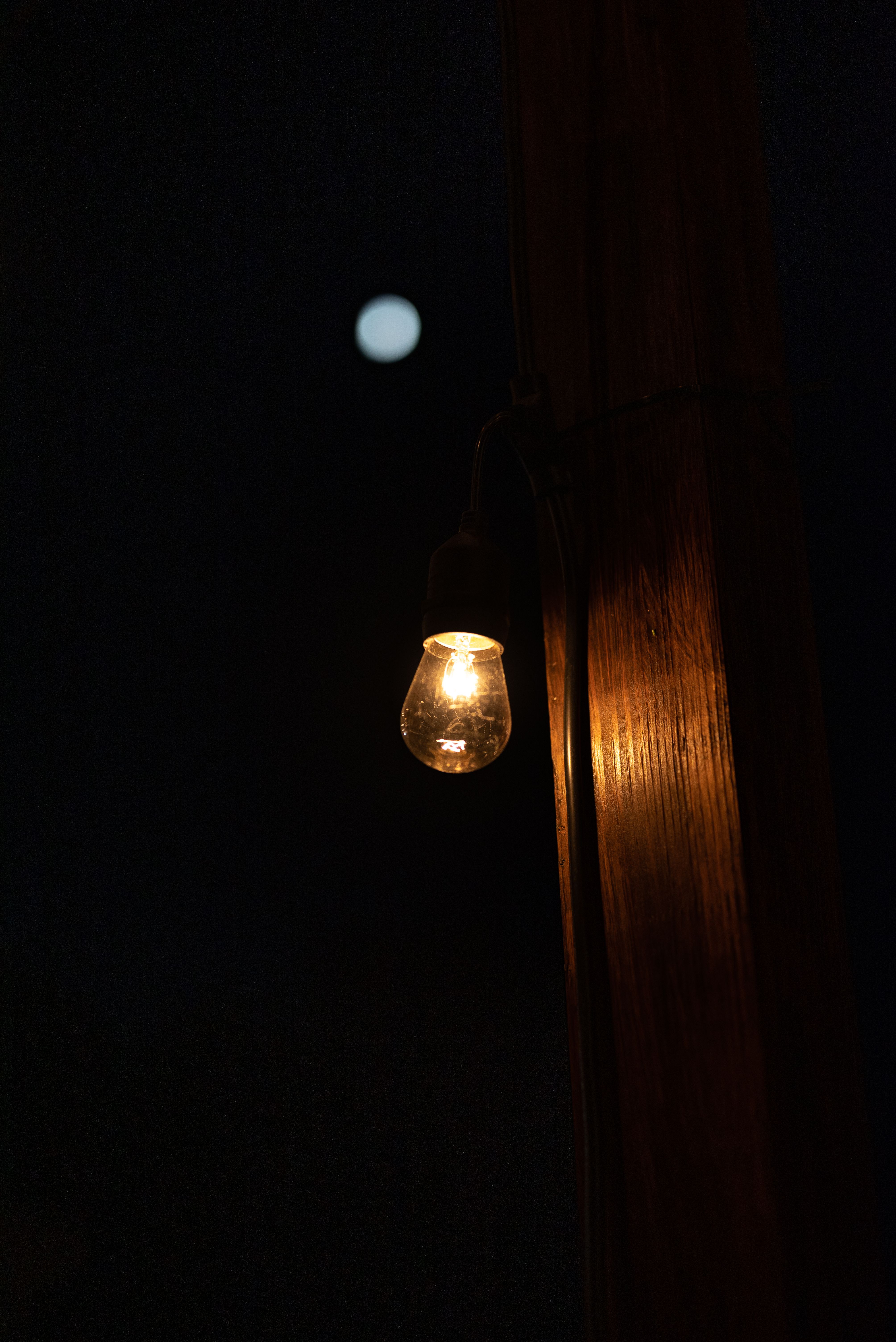 Person Holding Turned-on Light during Nighttime · Free Stock Photo