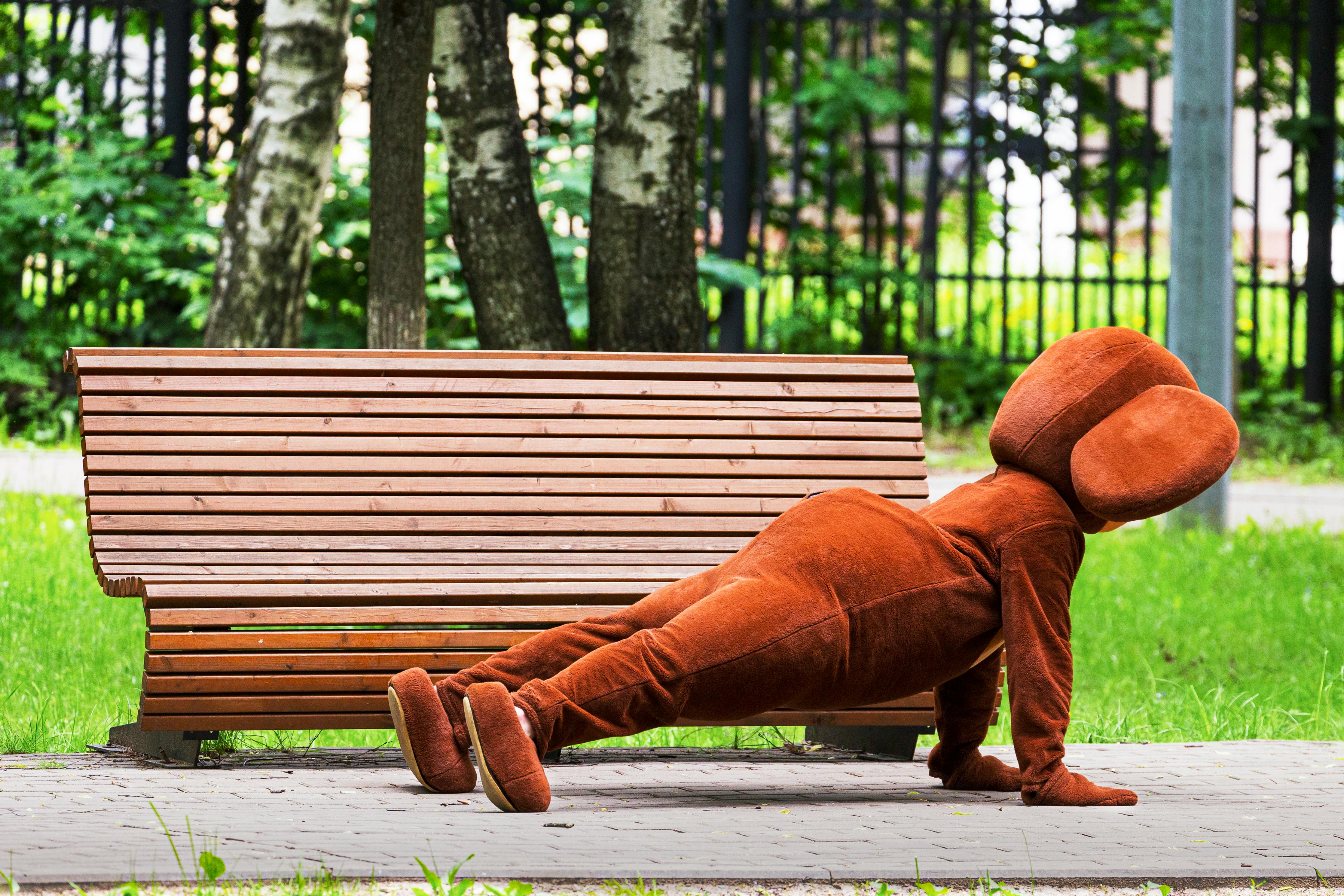 Bench 4k Photos, Download The BEST Free Bench 4k Stock Photos & HD Images