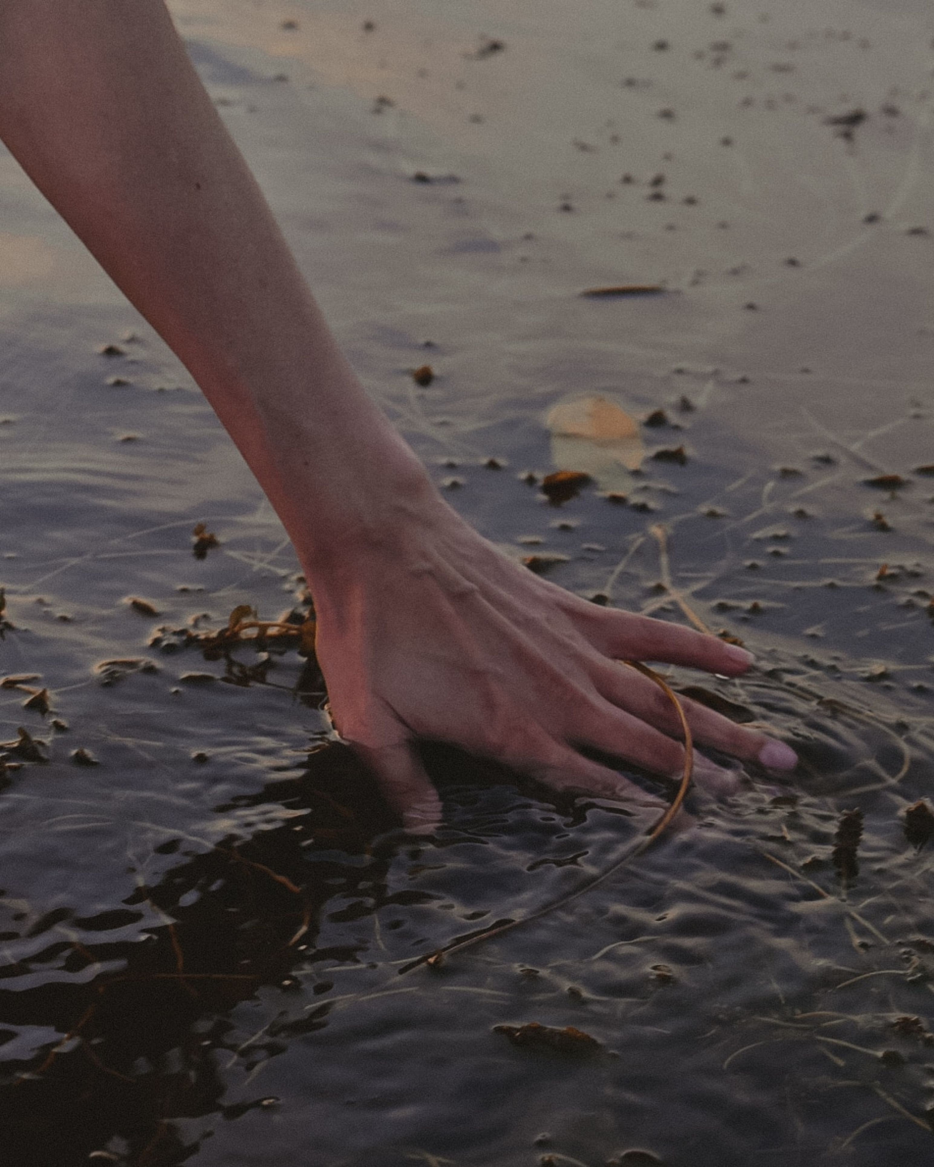 A Hand Touching Water · Free Stock Photo