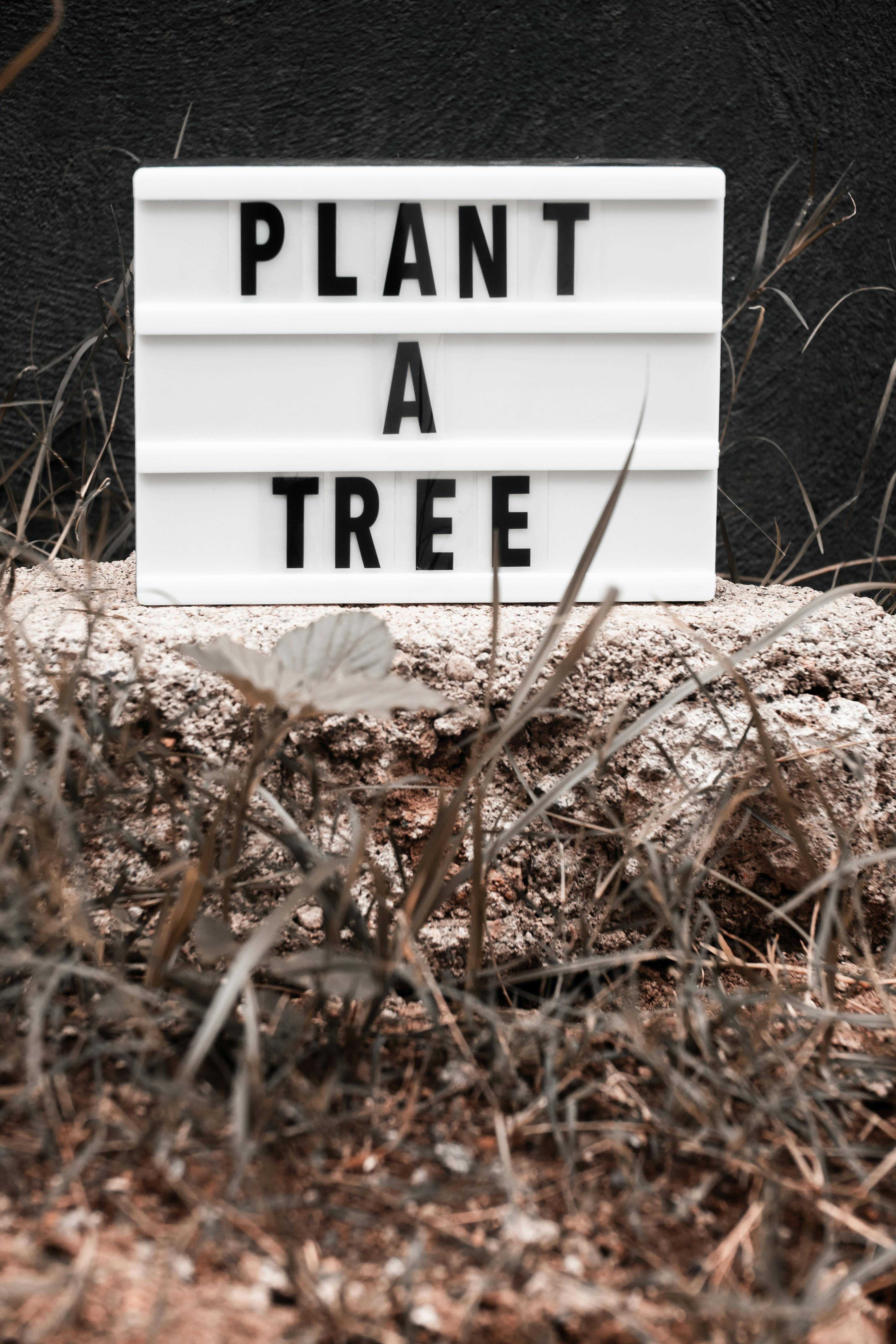 Sign with Ecological Message in Grass · Free Stock Photo
