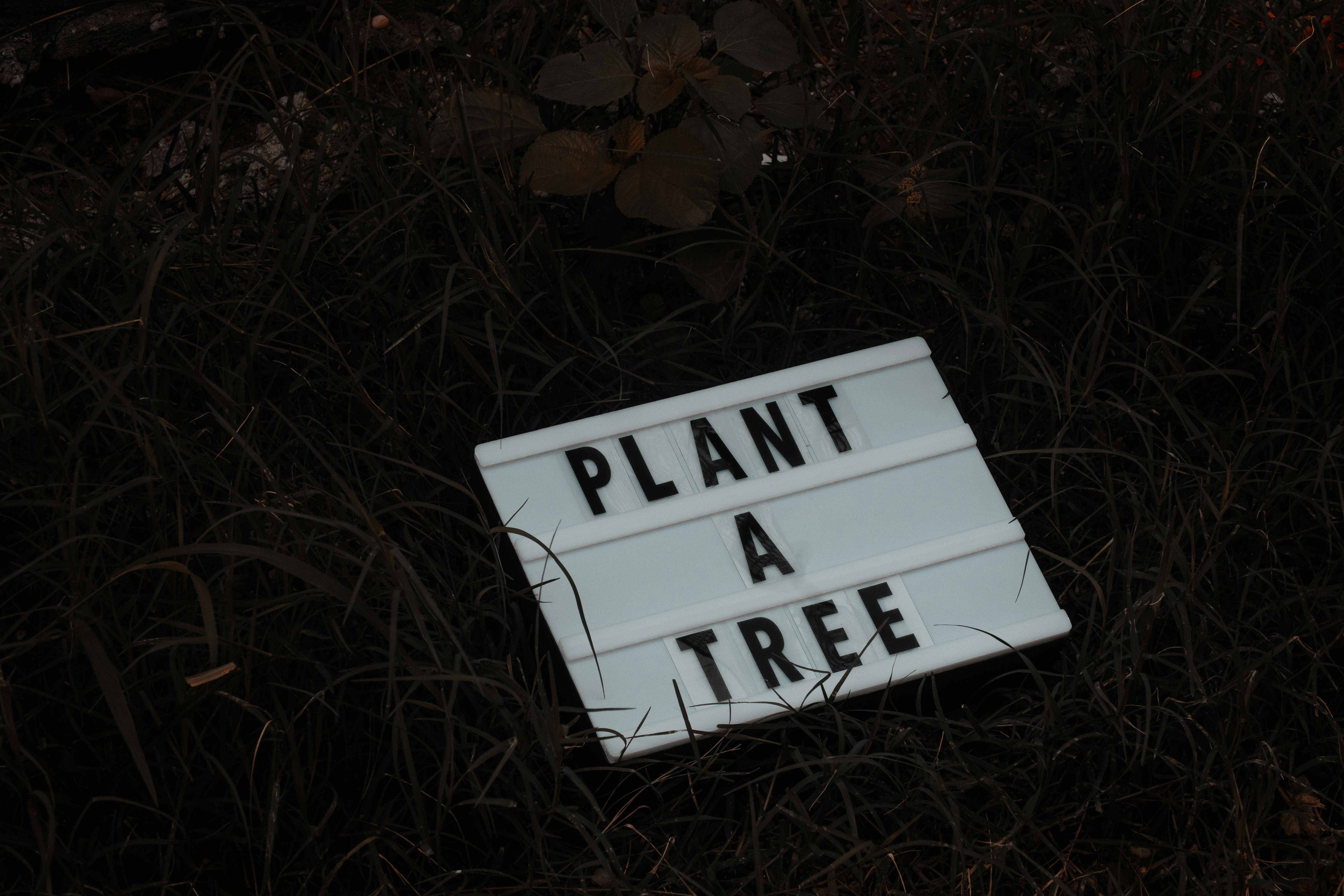 Plant a Tree Slogan on Grass · Free Stock Photo