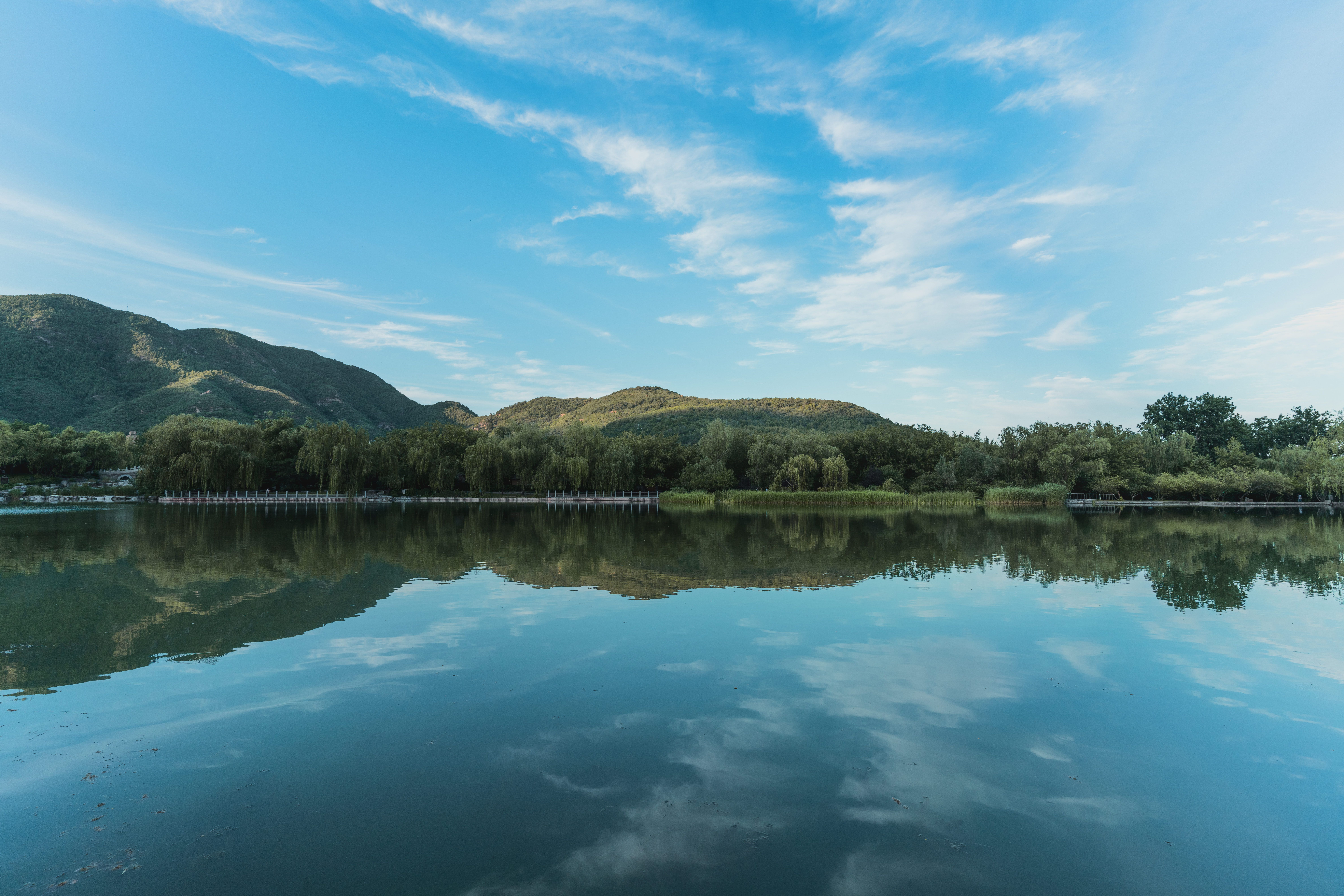 Forest Reflecting on Lake Surface · Free Stock Photo