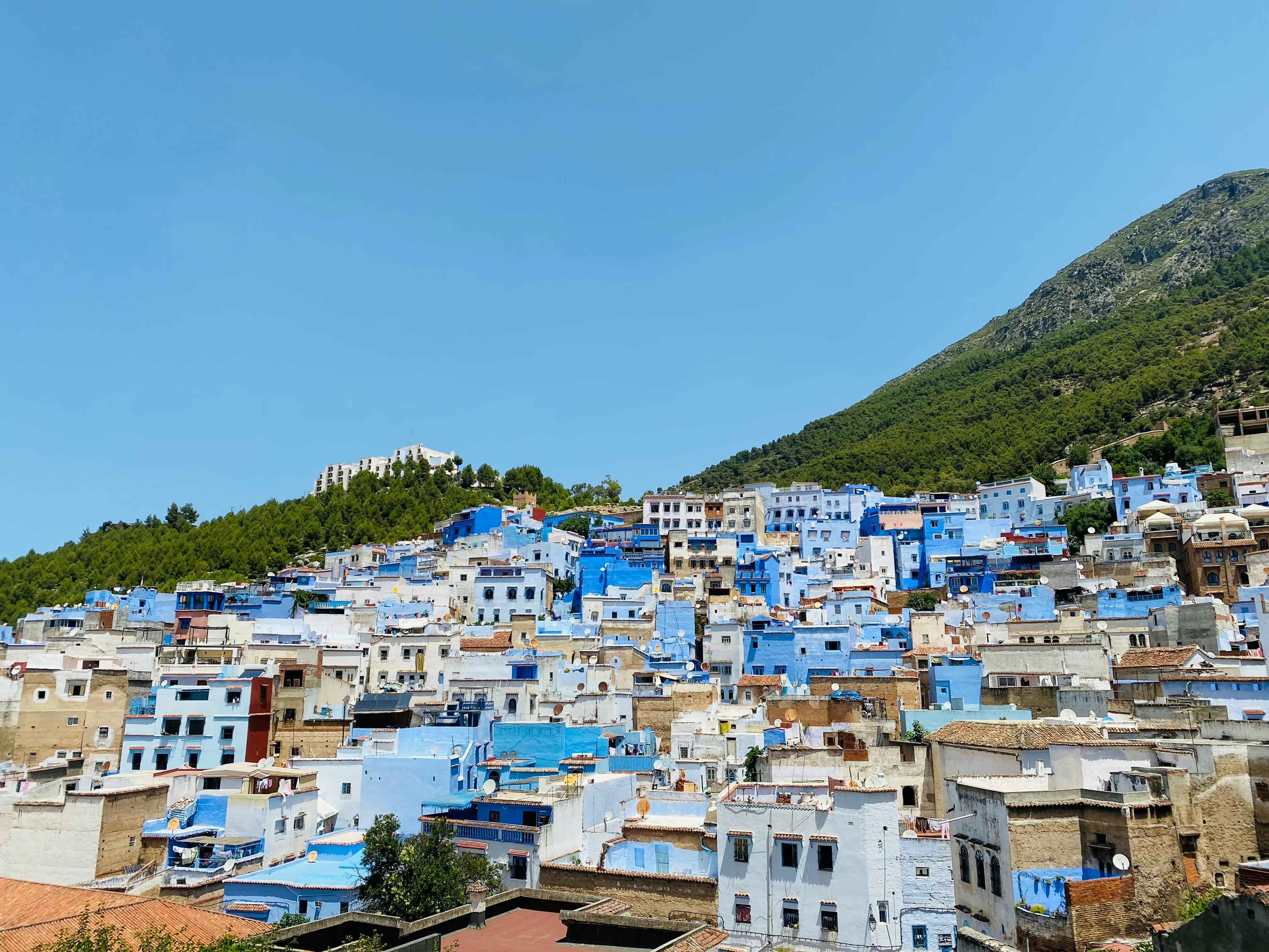 Photo of Blue Houses in a City · Free Stock Photo