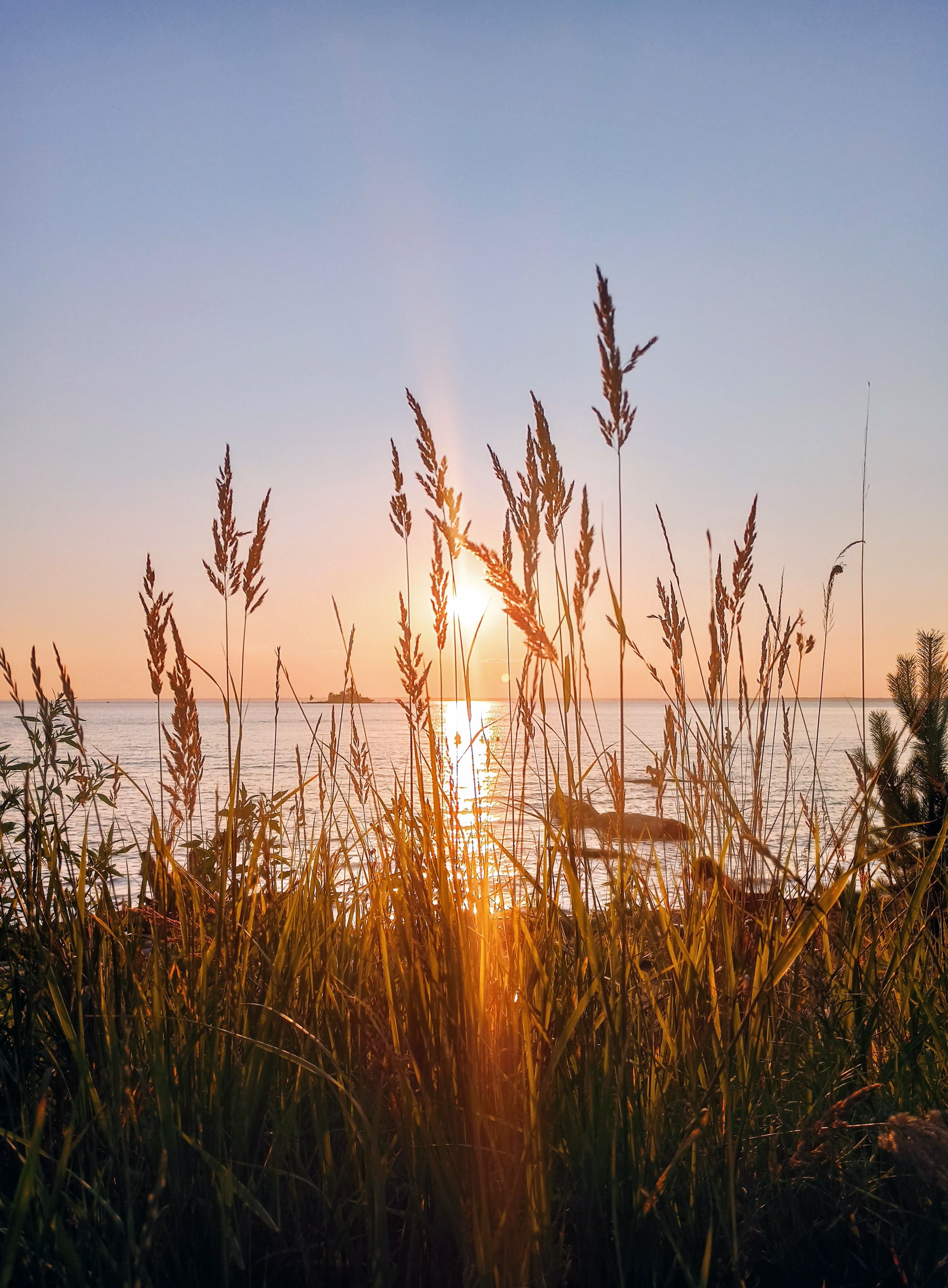 Woman Looking at Sunset · Free Stock Photo
