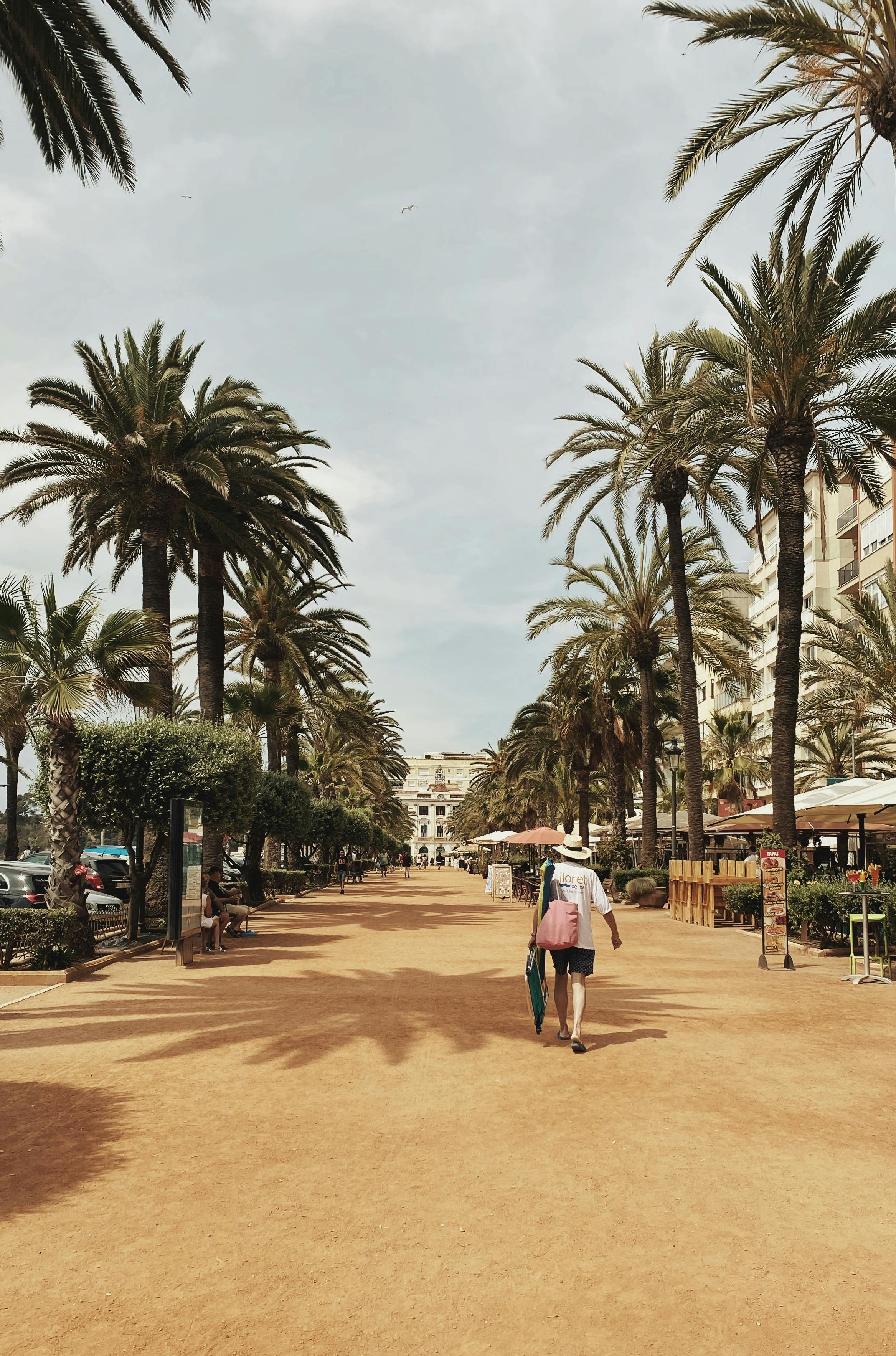 Person Walking On A Palm Tree Lined Pathway · Free Stock Photo