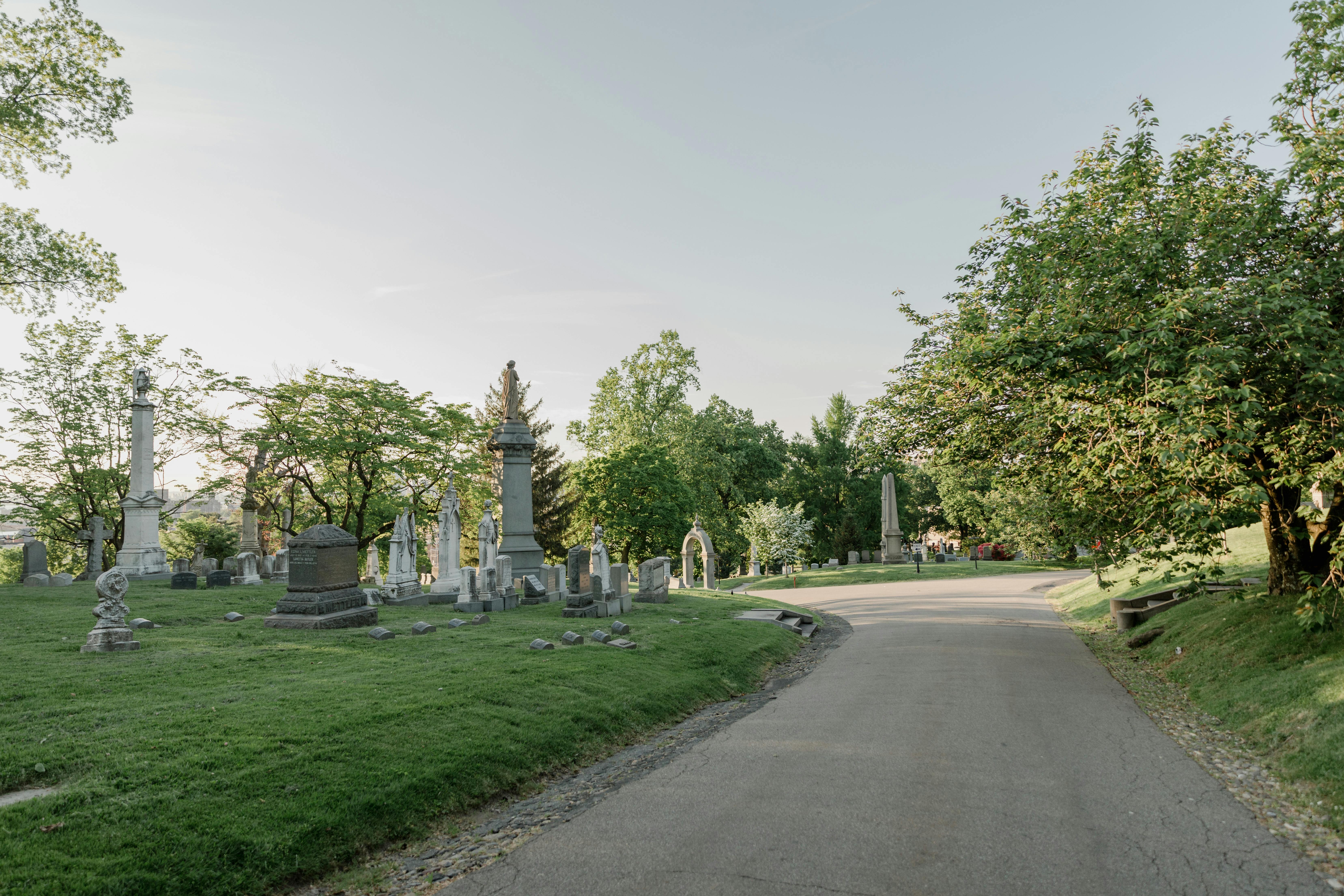 Memorial Park With Green Trees and Concrete Road · Free Stock Photo