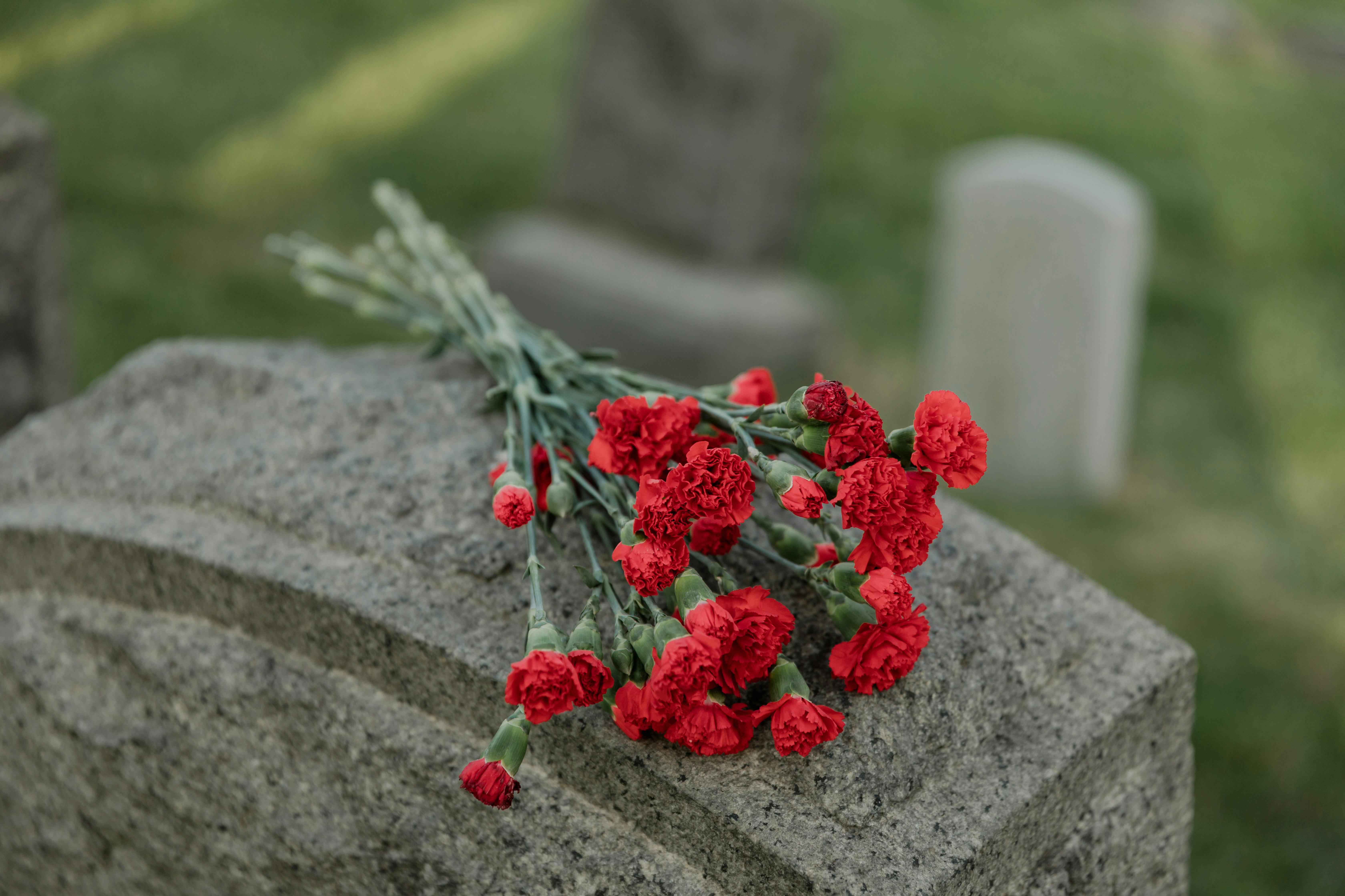 Photo of Person Putting Rose on Grave · Free Stock Photo