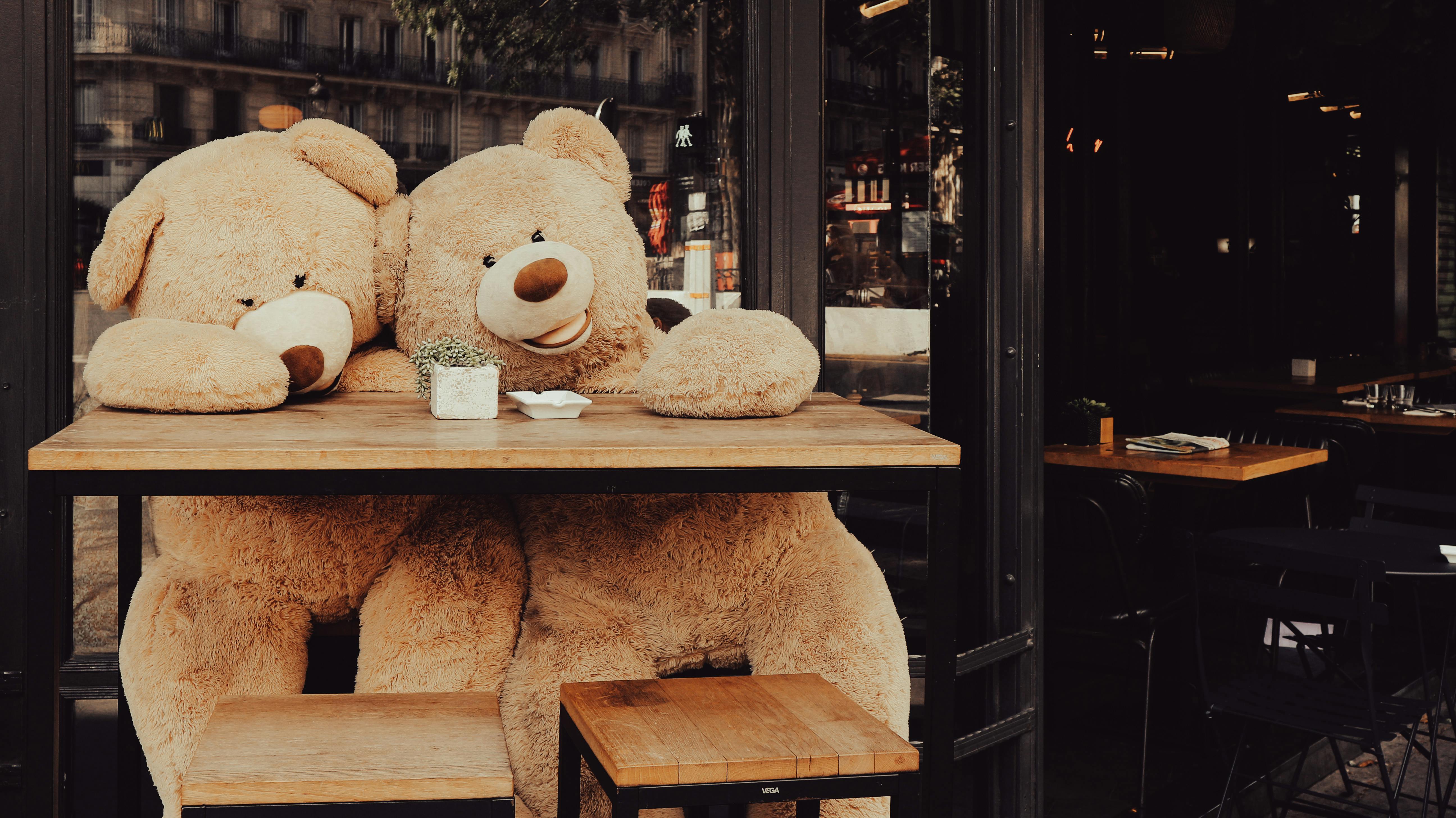Massive Teddy Bear in Raincoat Seated at Coffee Table Before Cafeteria ...
