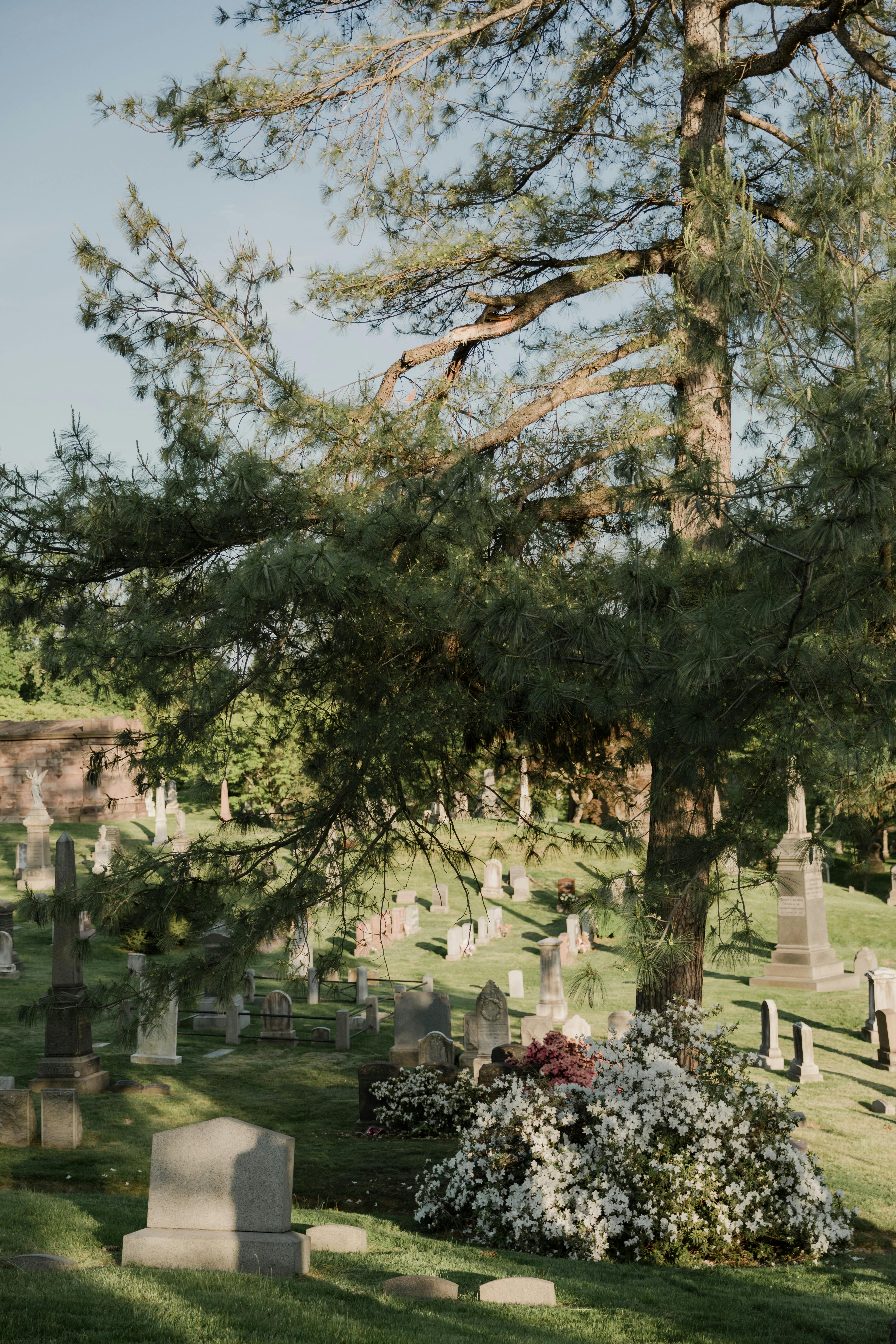 Photo of Cemetery During Daytime · Free Stock Photo