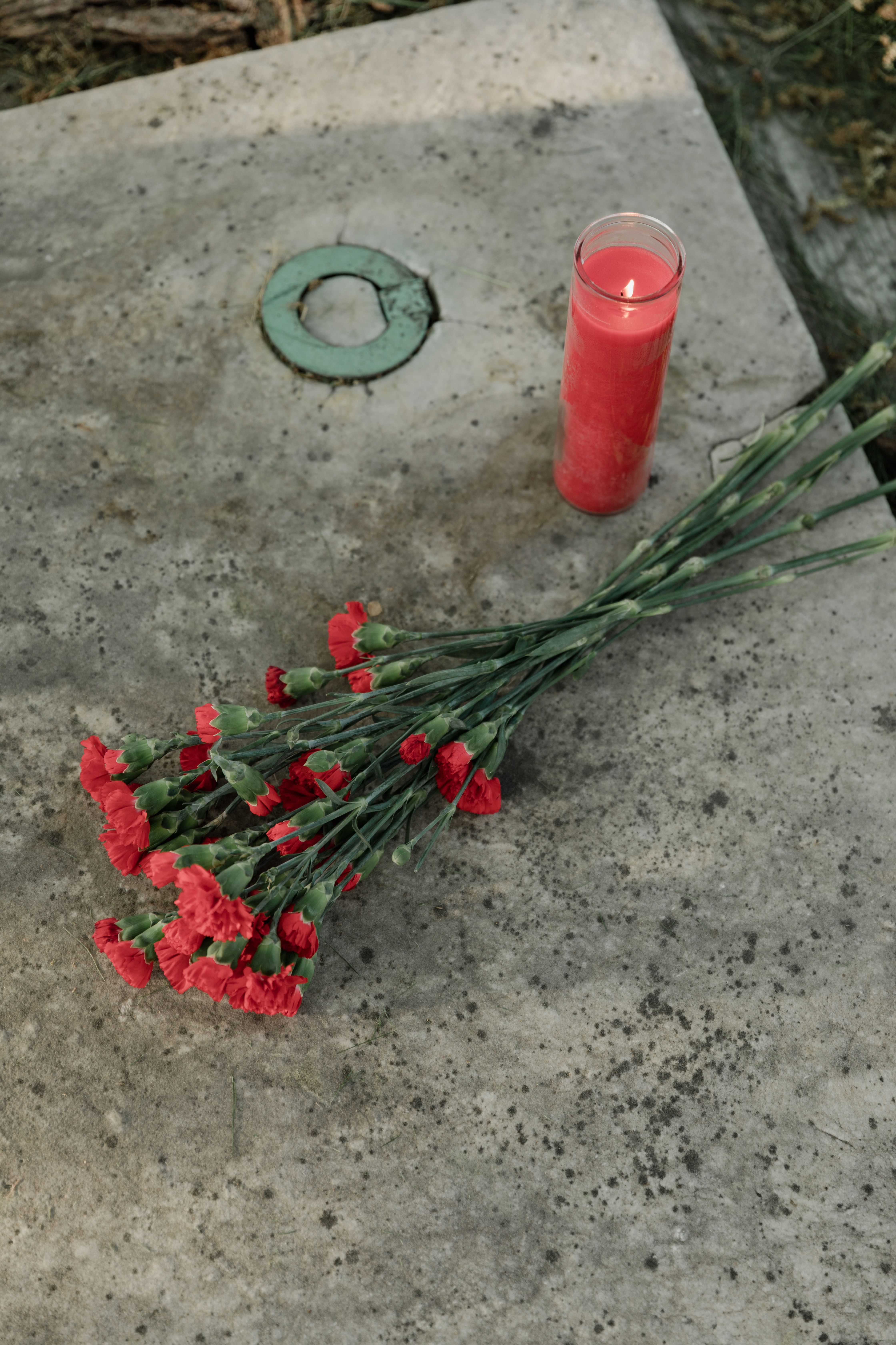 Funeral Flower Carnations Photos, Download The BEST Free Funeral Flower ...