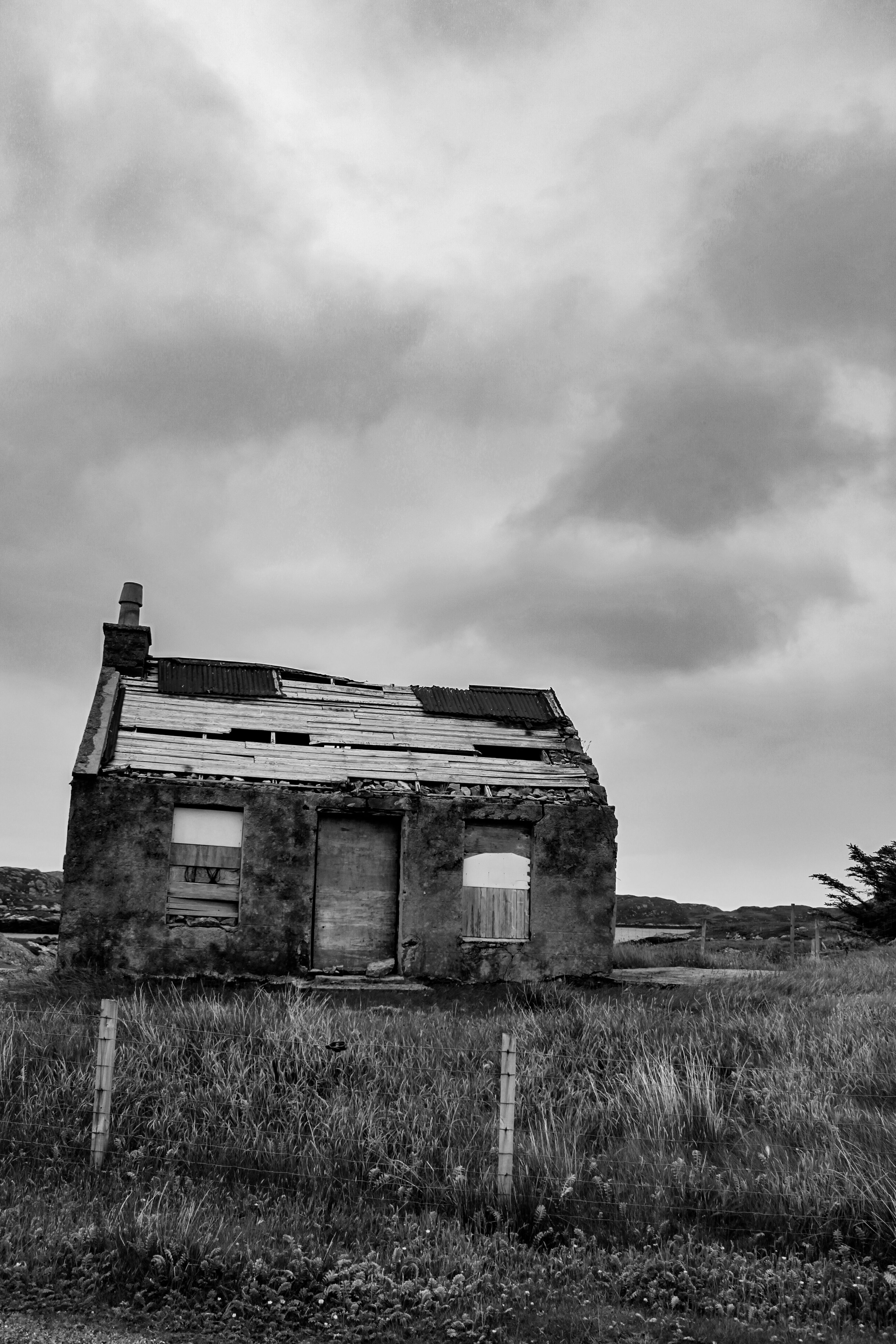 Grayscale Photo of Grass Field · Free Stock Photo