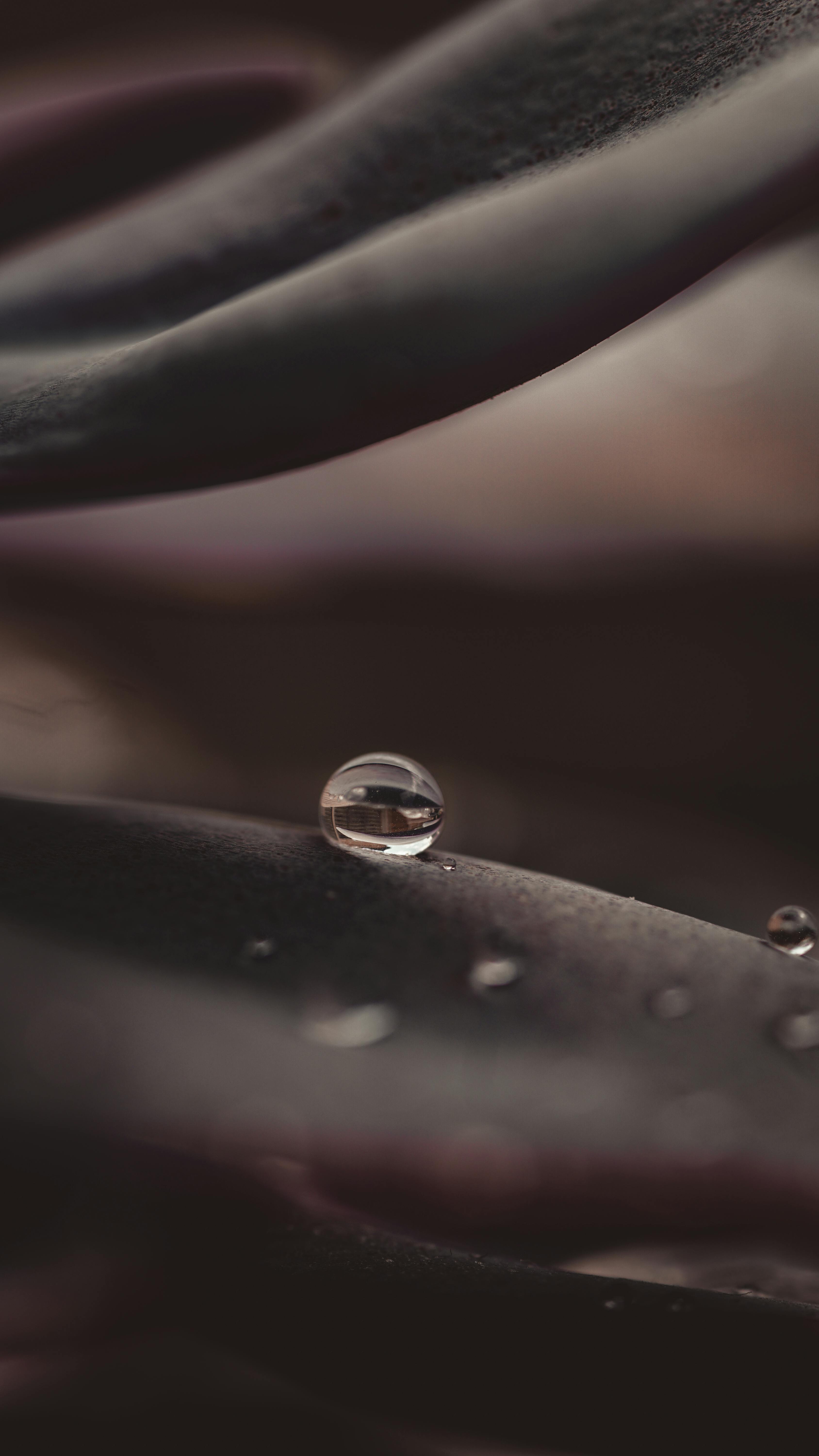 Close-Up Shot of a Water Droplet · Free Stock Photo