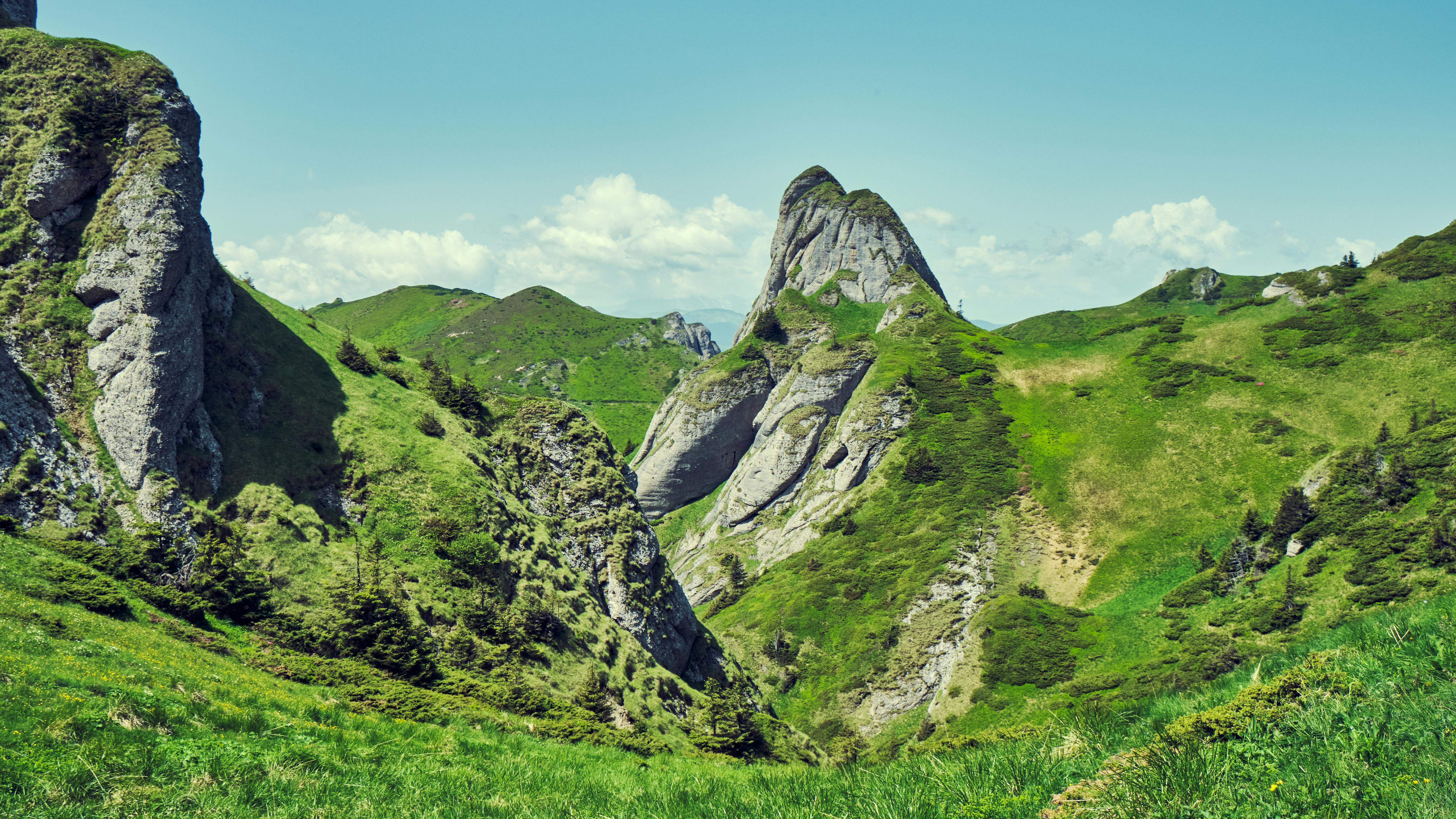 A Verdant Field near the Mountains · Free Stock Photo