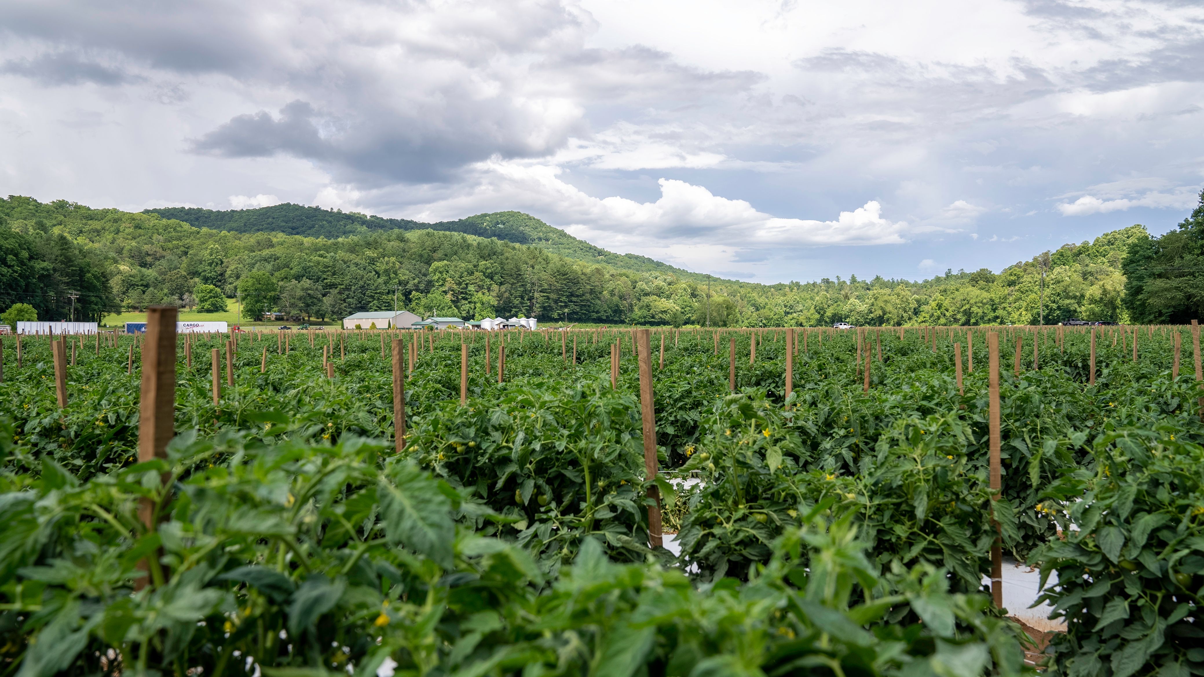 4k Farmland Photos, Download The BEST Free 4k Farmland Stock Photos ...