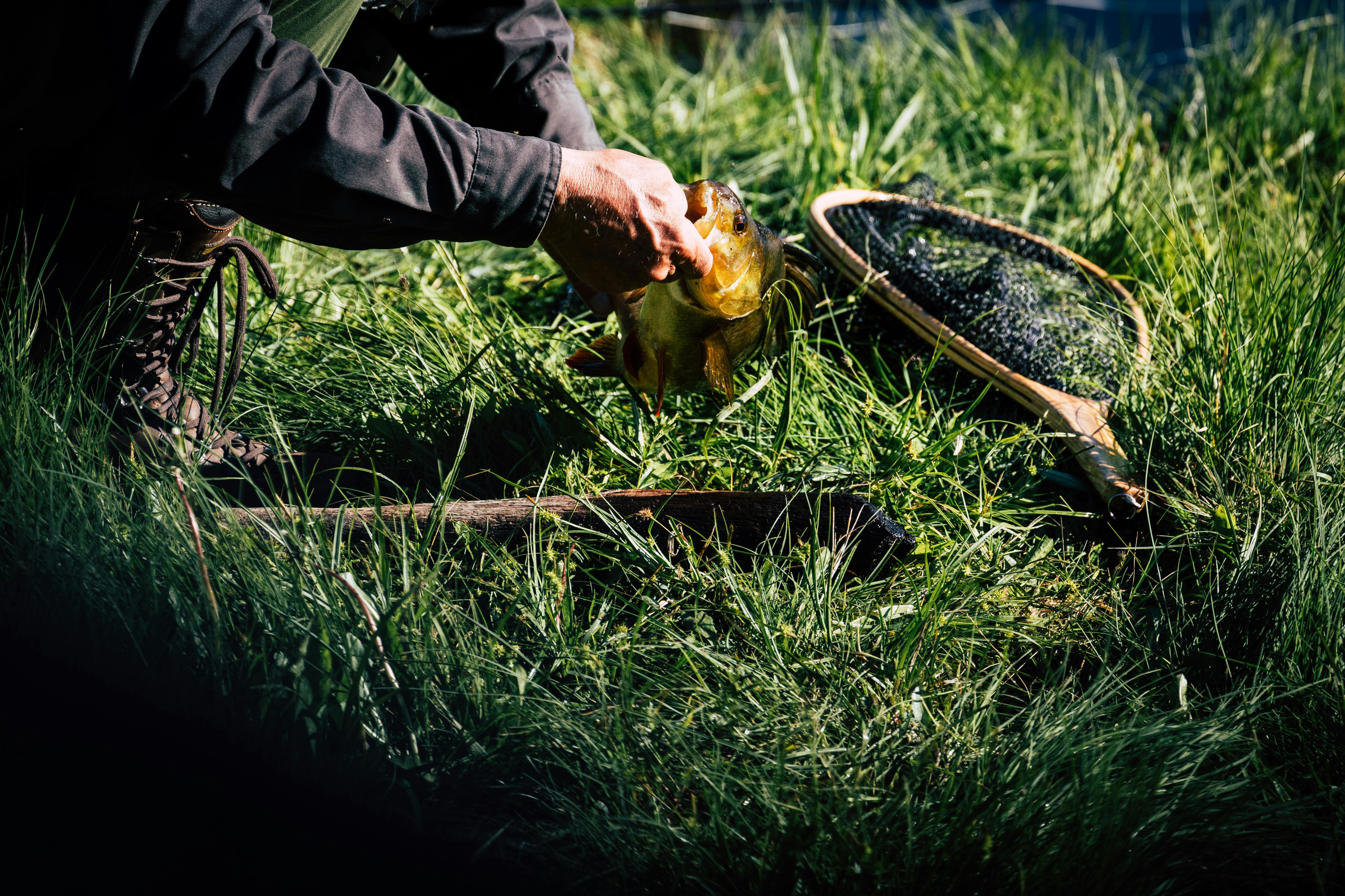 Fisherman Holding His Catch Next to a Fishing Net · Free Stock Photo