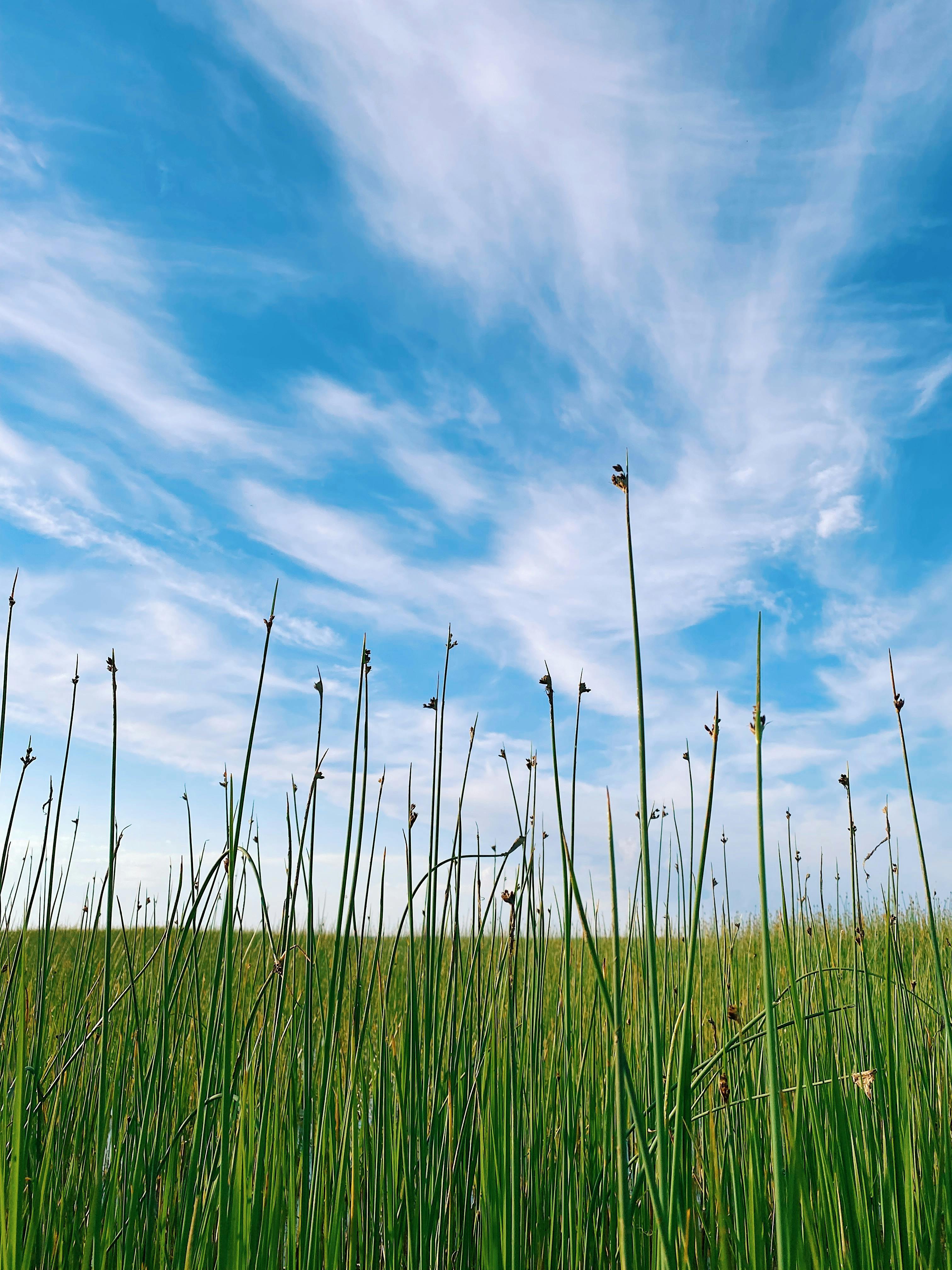 6.000+ Foto Penyakit Kusta Terbaik · Unduh Gratis 100% · Foto Stok Pexels