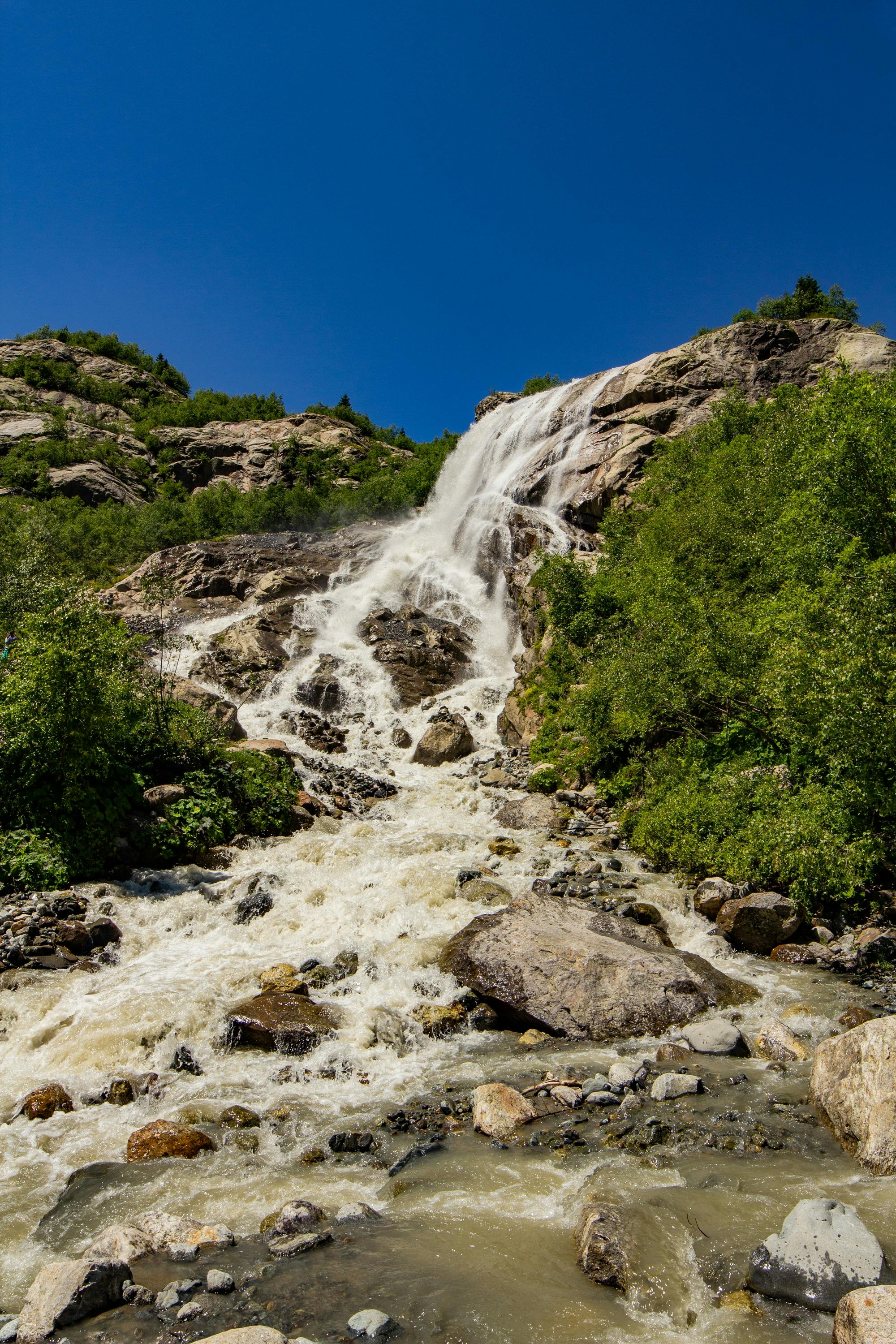 Green Trees and White Water Falls · Free Stock Photo