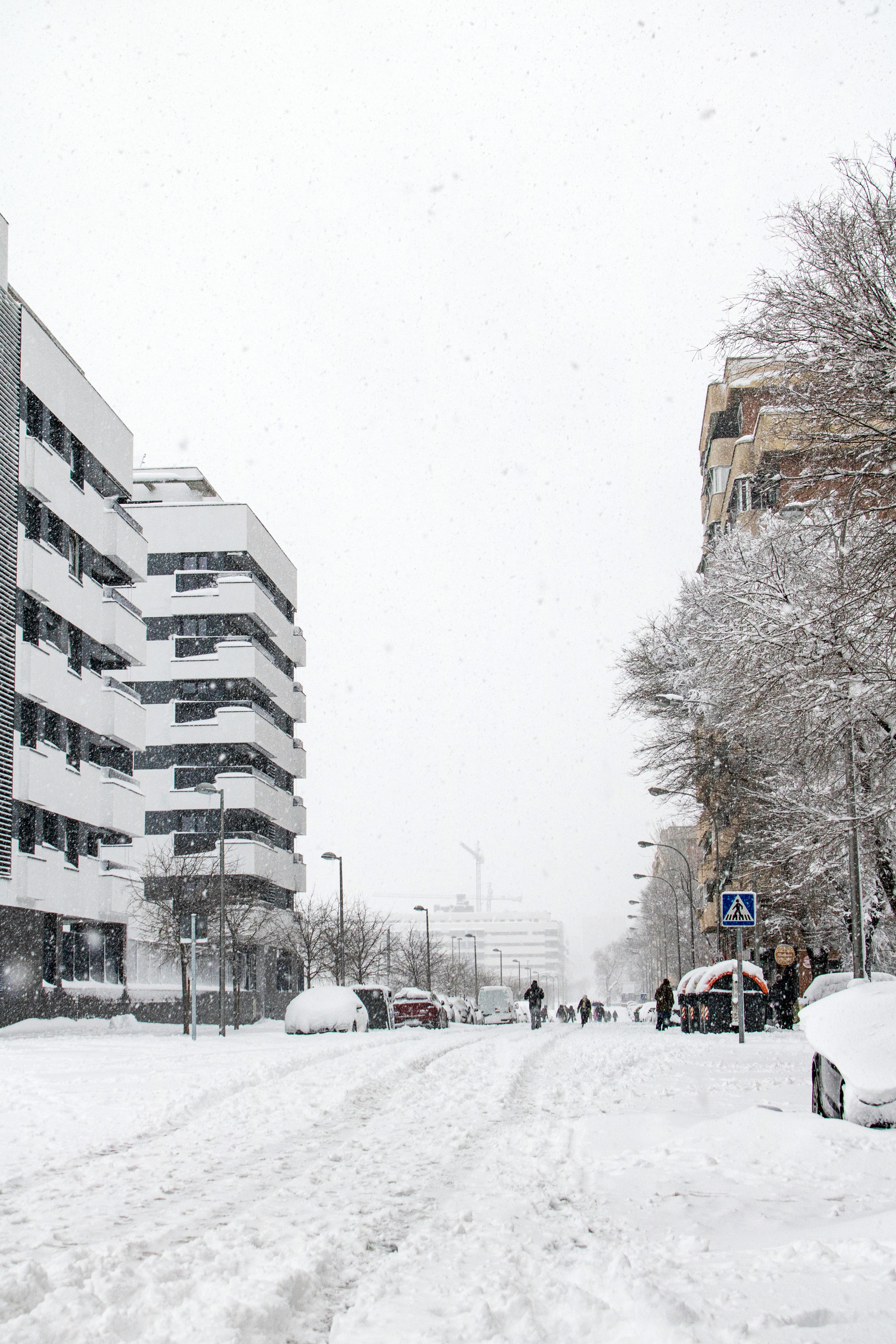 Snow on Street in Town · Free Stock Photo